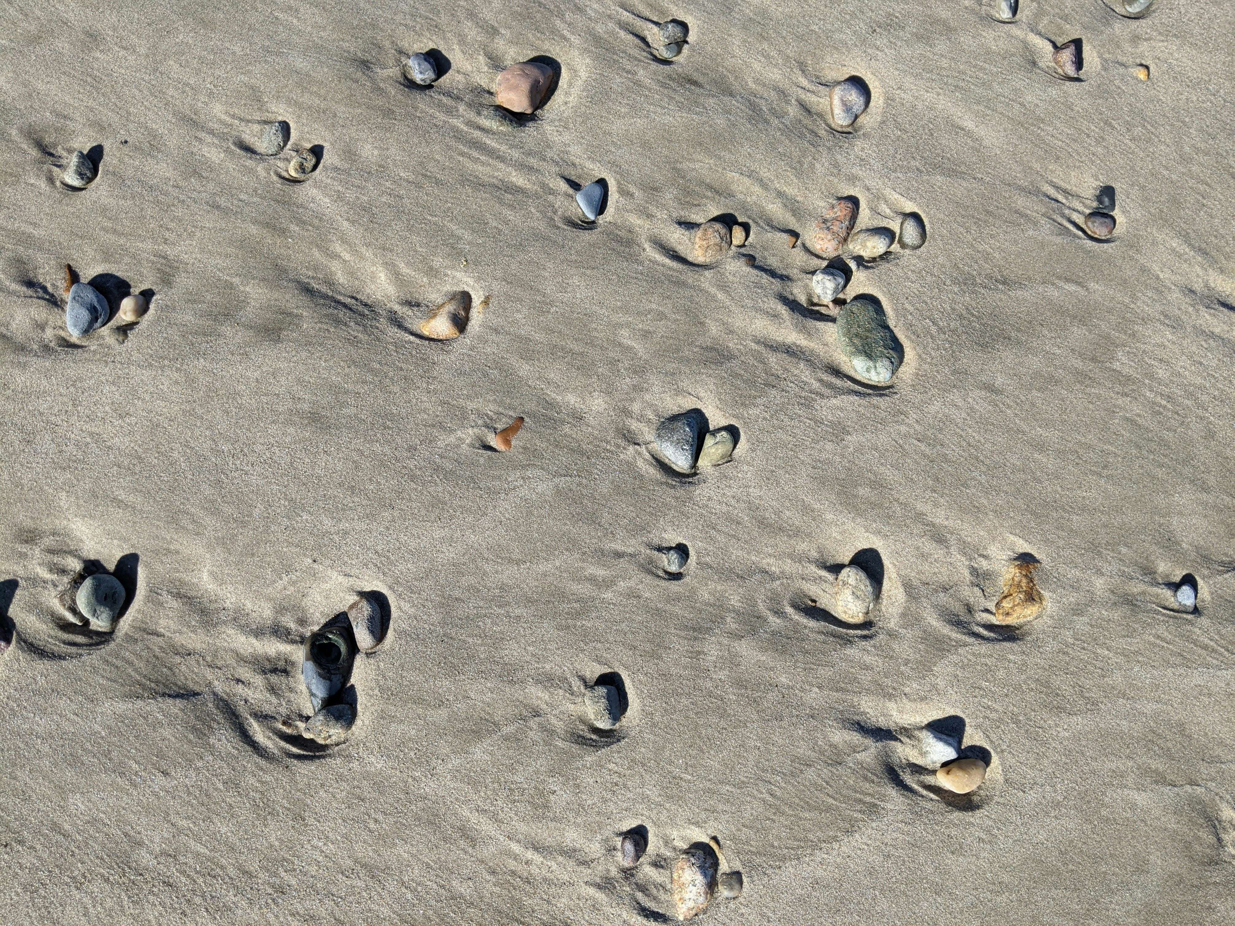 Pebble Mosaic in Tidal Sand