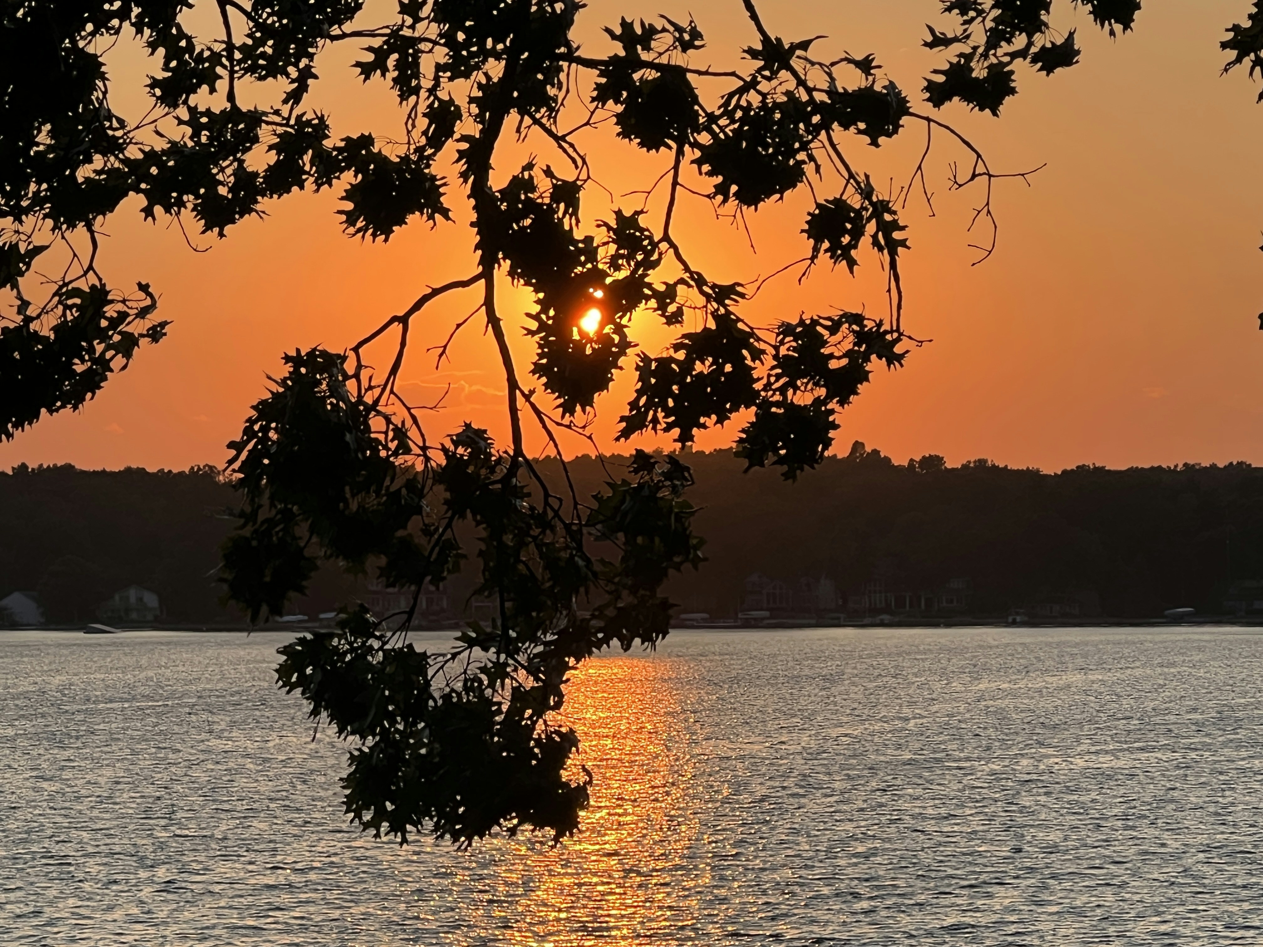 Sheila Jellison (@mimaworld) | Communauté photos Unsplash