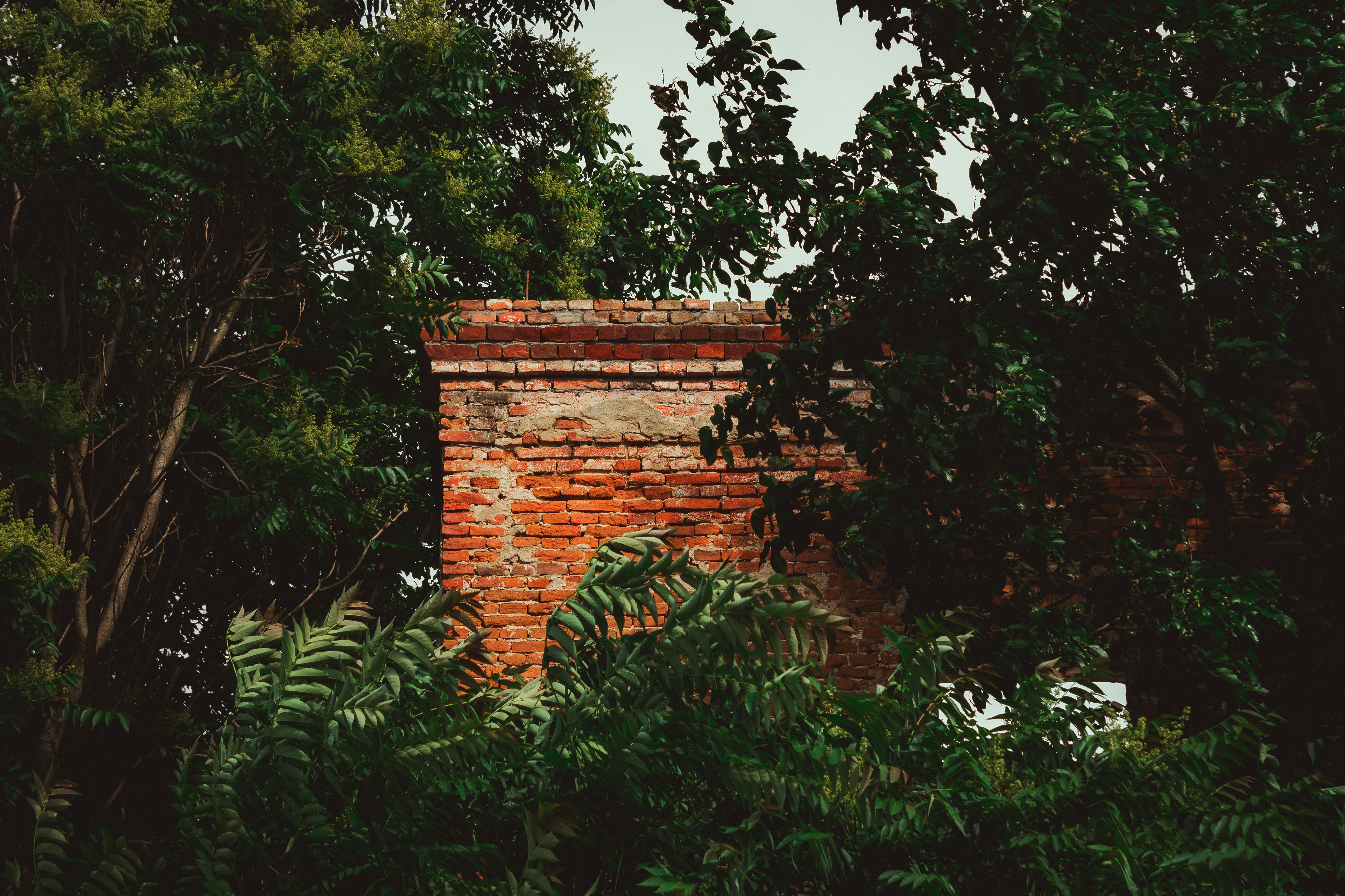 Photo by Czapp Botond with Canon EOS 1100D