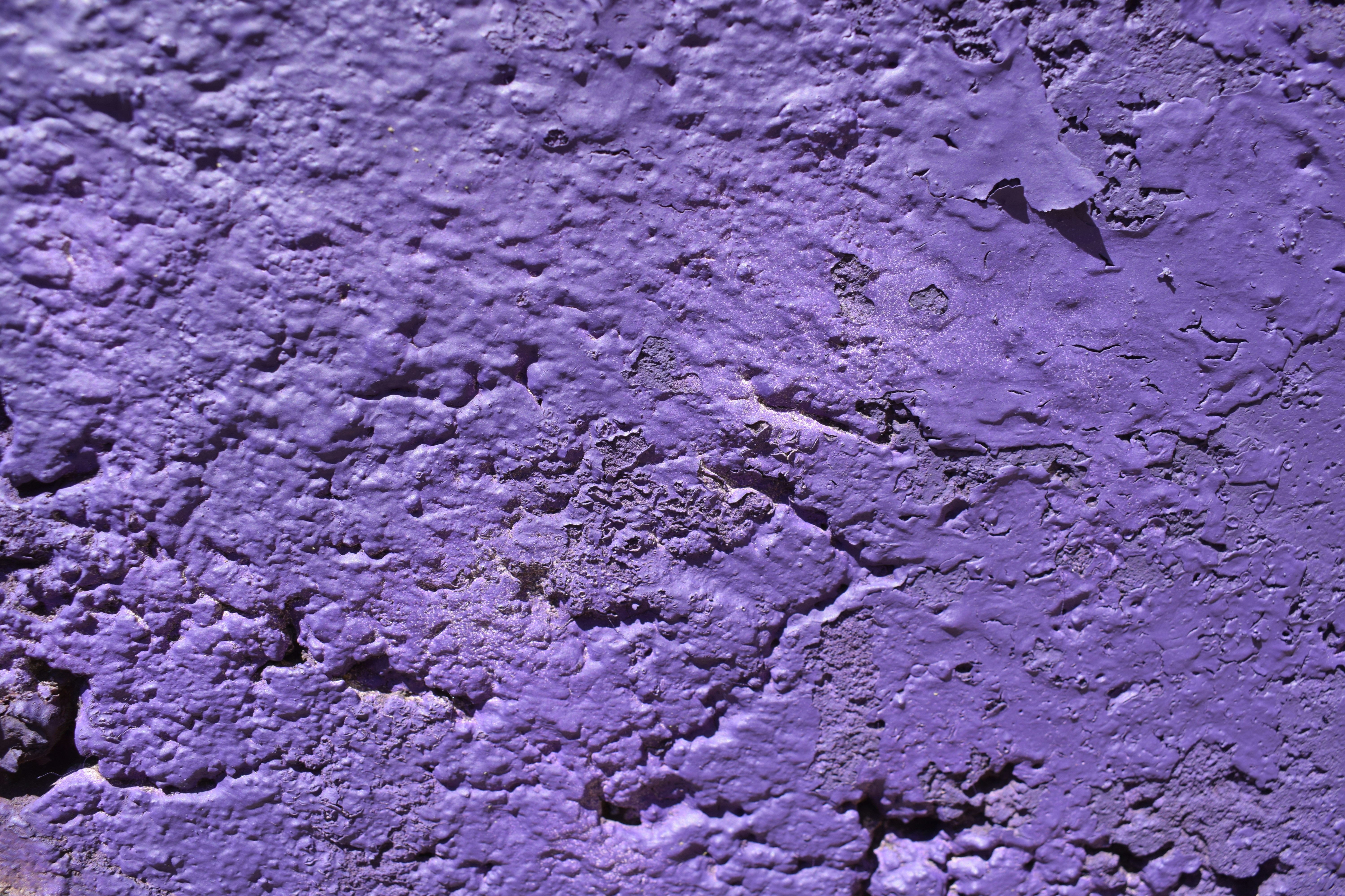 Photo by Marija Zaric with Nikon D5300