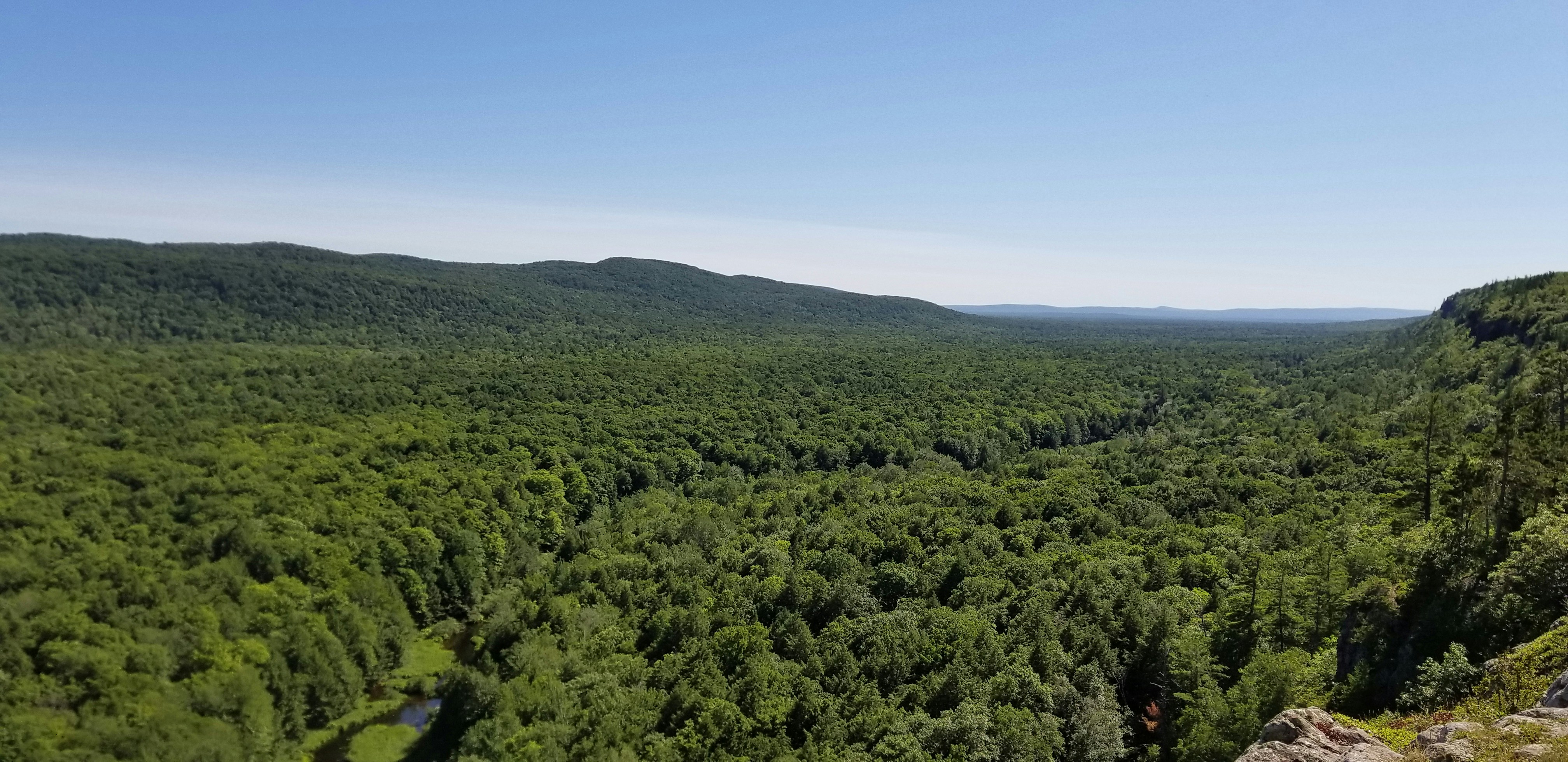 Une vue d’une forêt verdoyante d’un point de vue élevé photo – Image ...