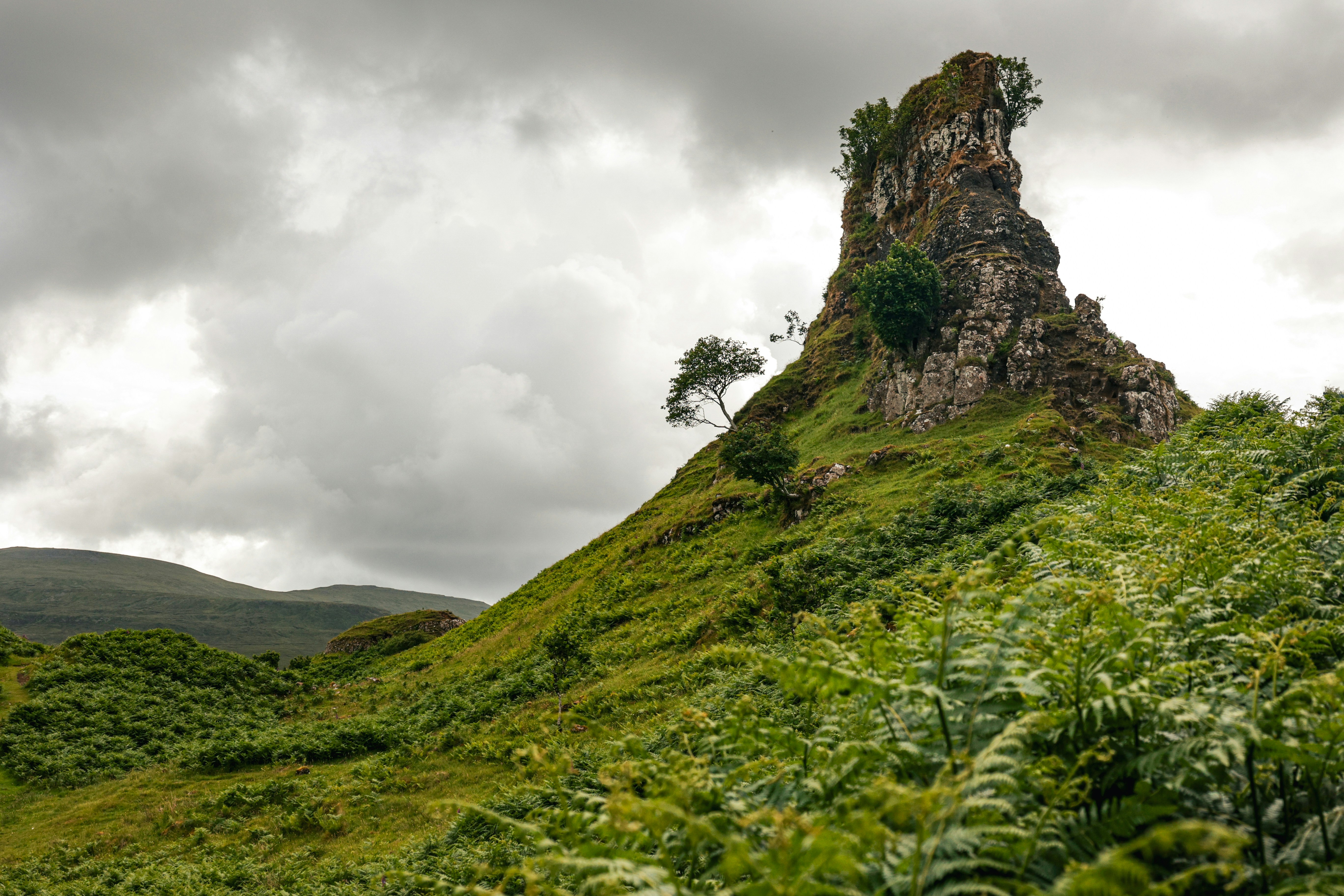 A very tall hill with a tree on top of it photo – Free Plant Image on ...