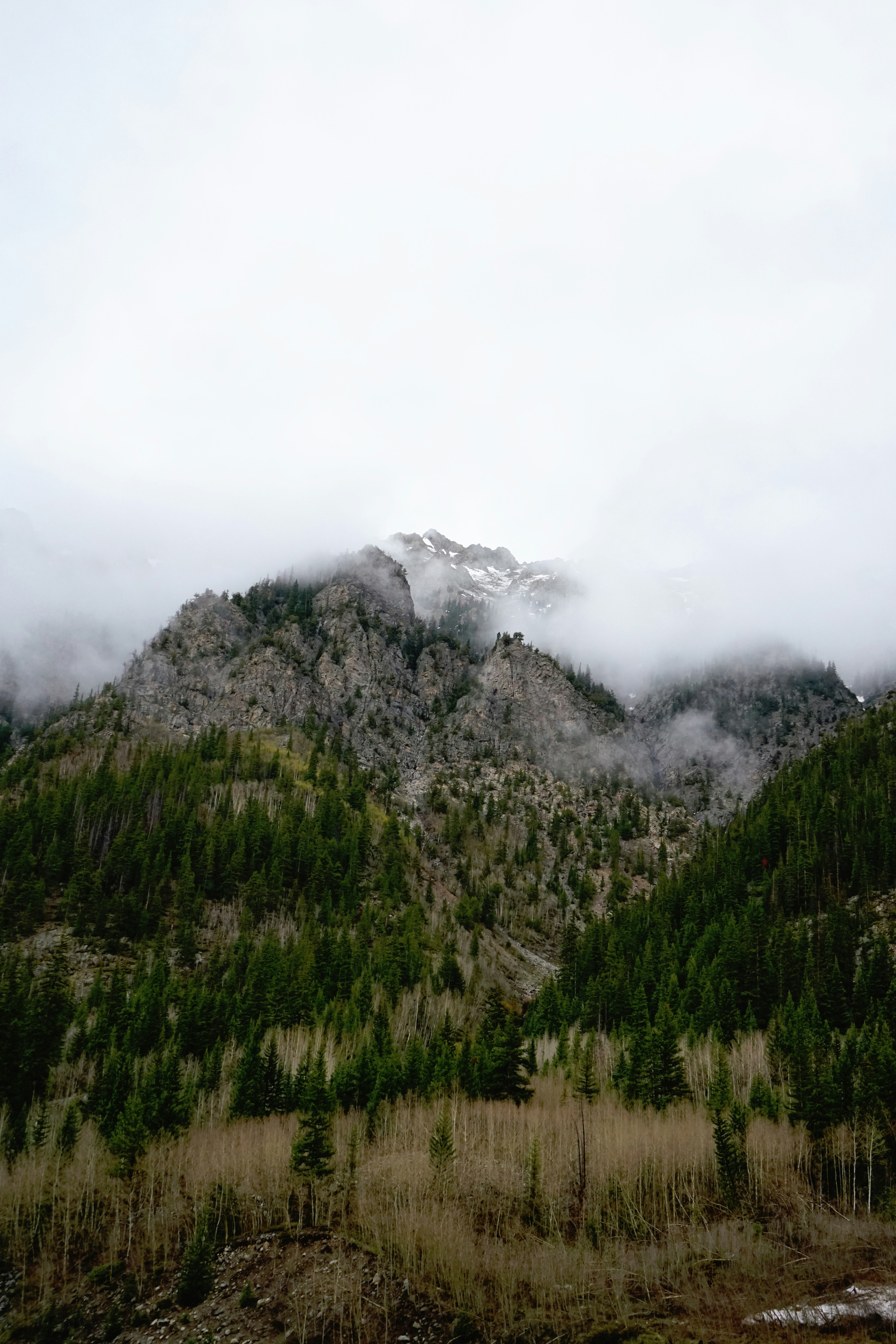 Cloud-veiled Summit: Pines Cling to a Rugged Alpine Ridge