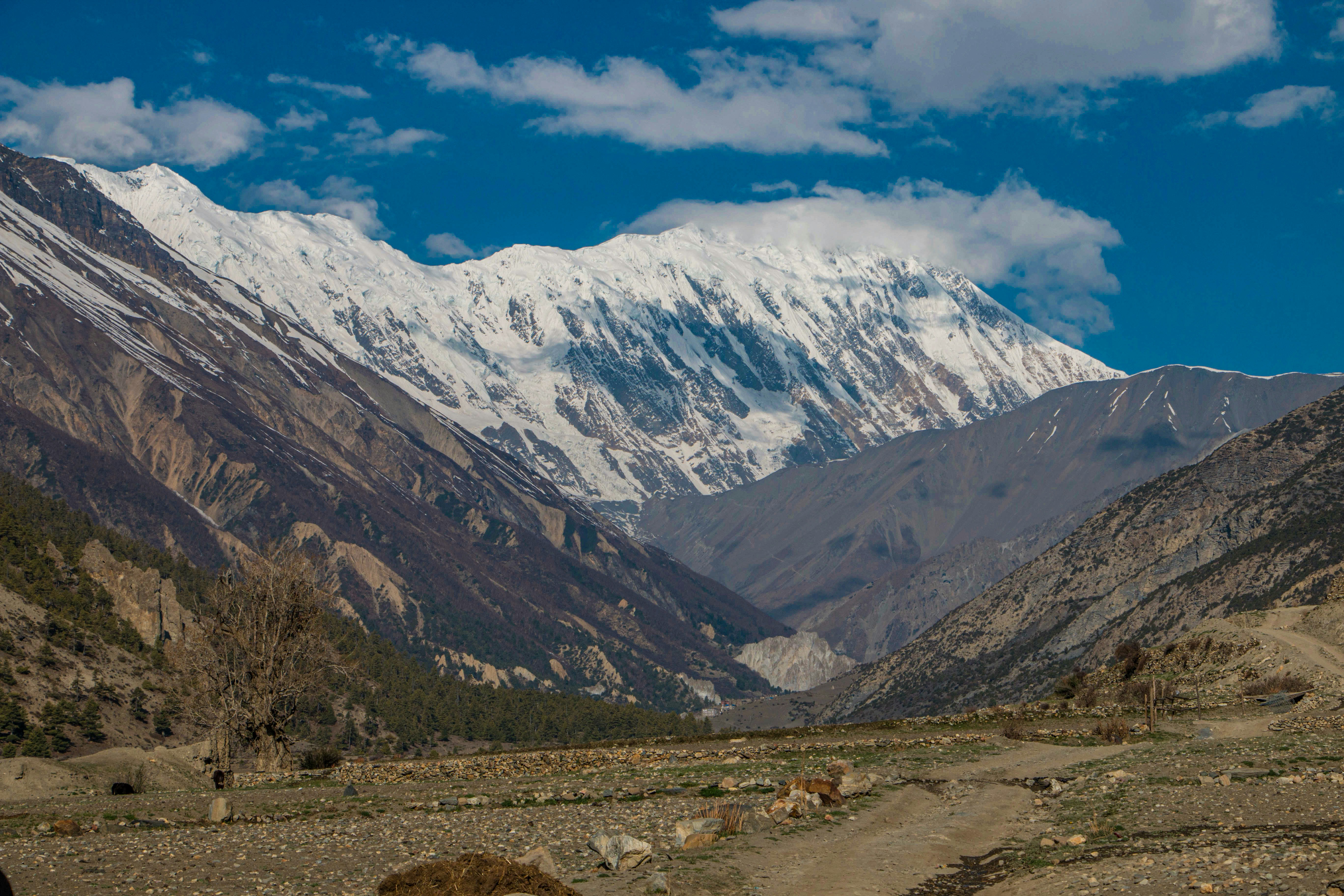 Manang Nepal Fotos | Baixe imagens gratuitas na Unsplash