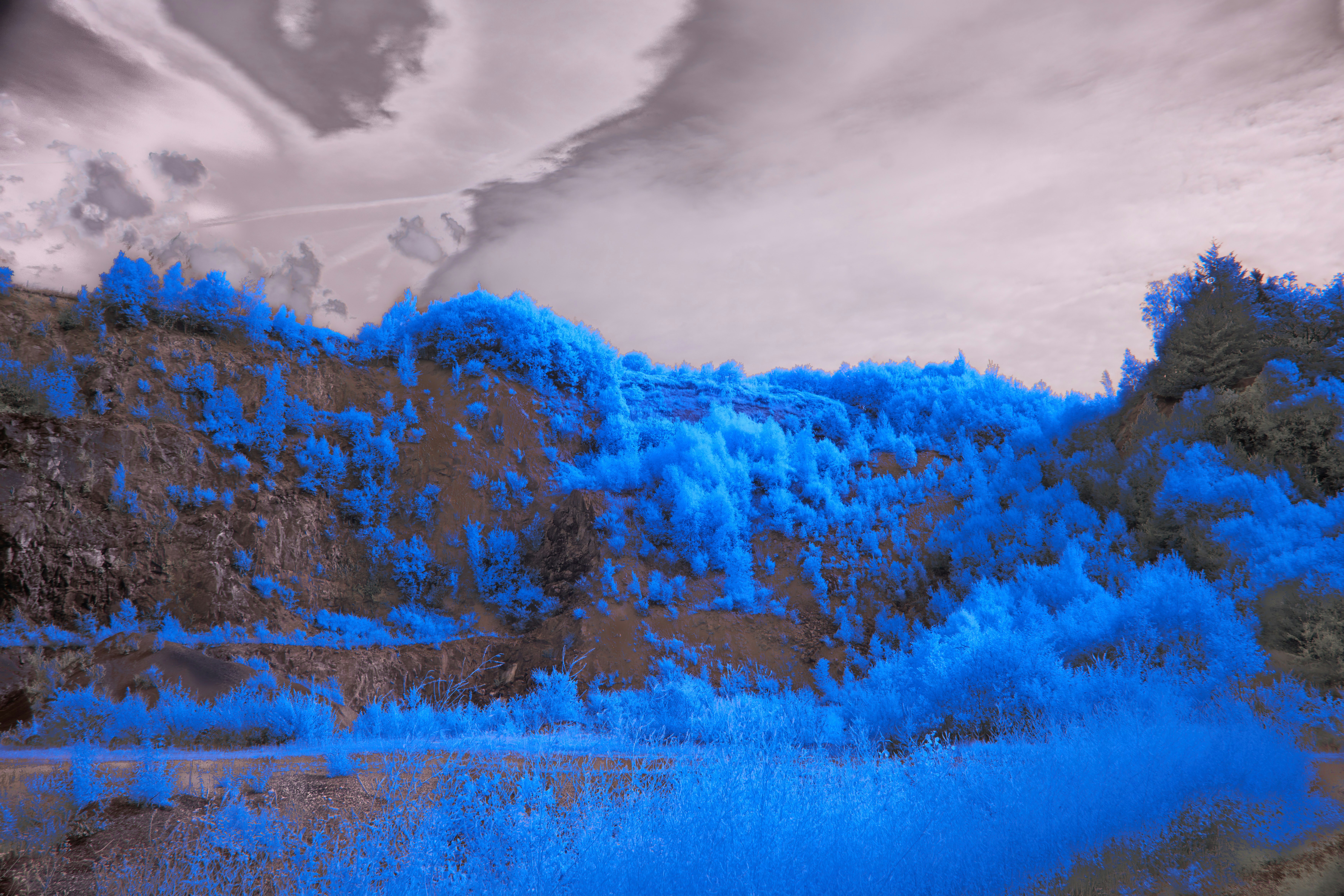 A blue landscape with trees and clouds in the background photo – Free ...