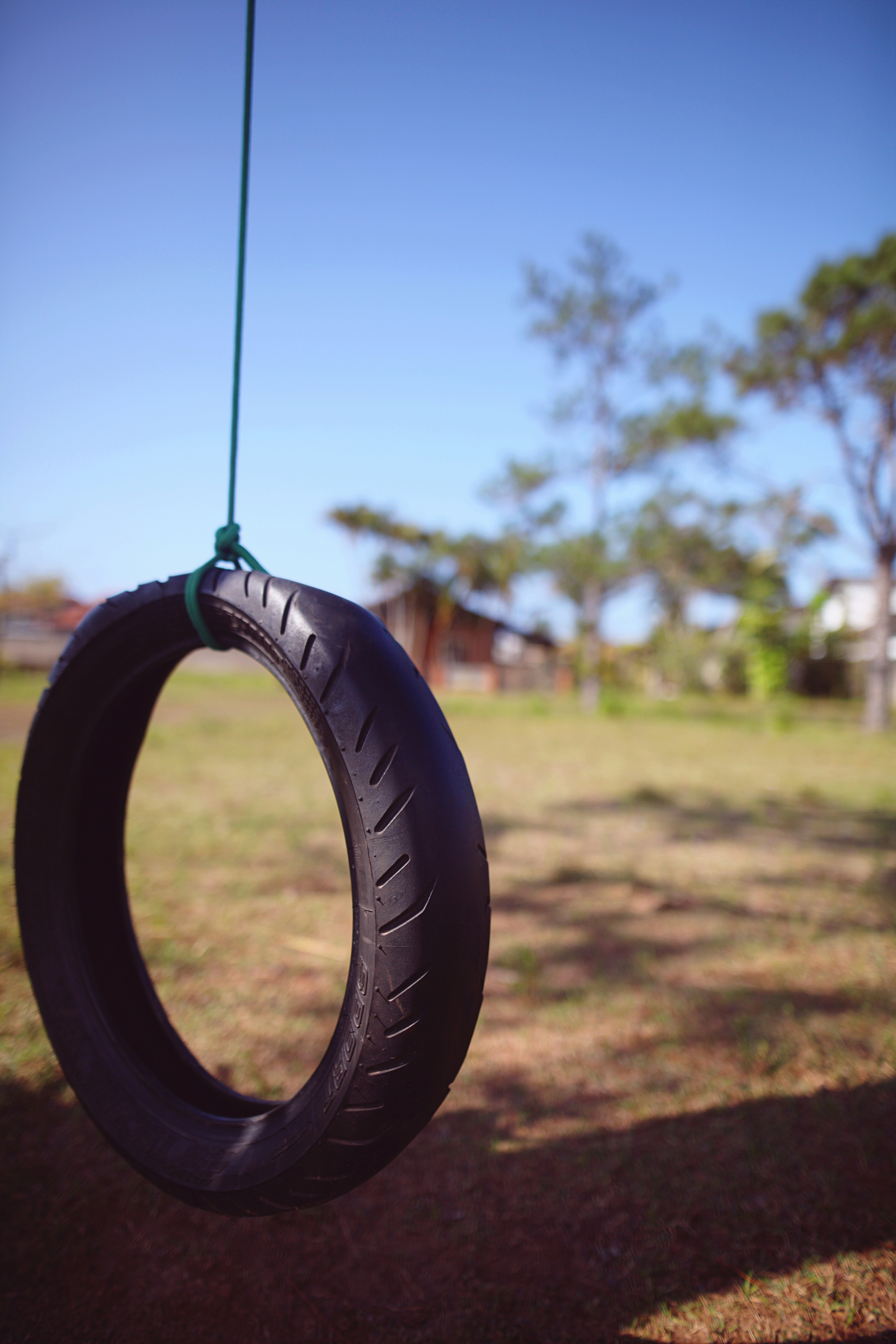 Tire Swing in a Sunlit Park: Quiet Geometry Under a Clear Blue Sky
