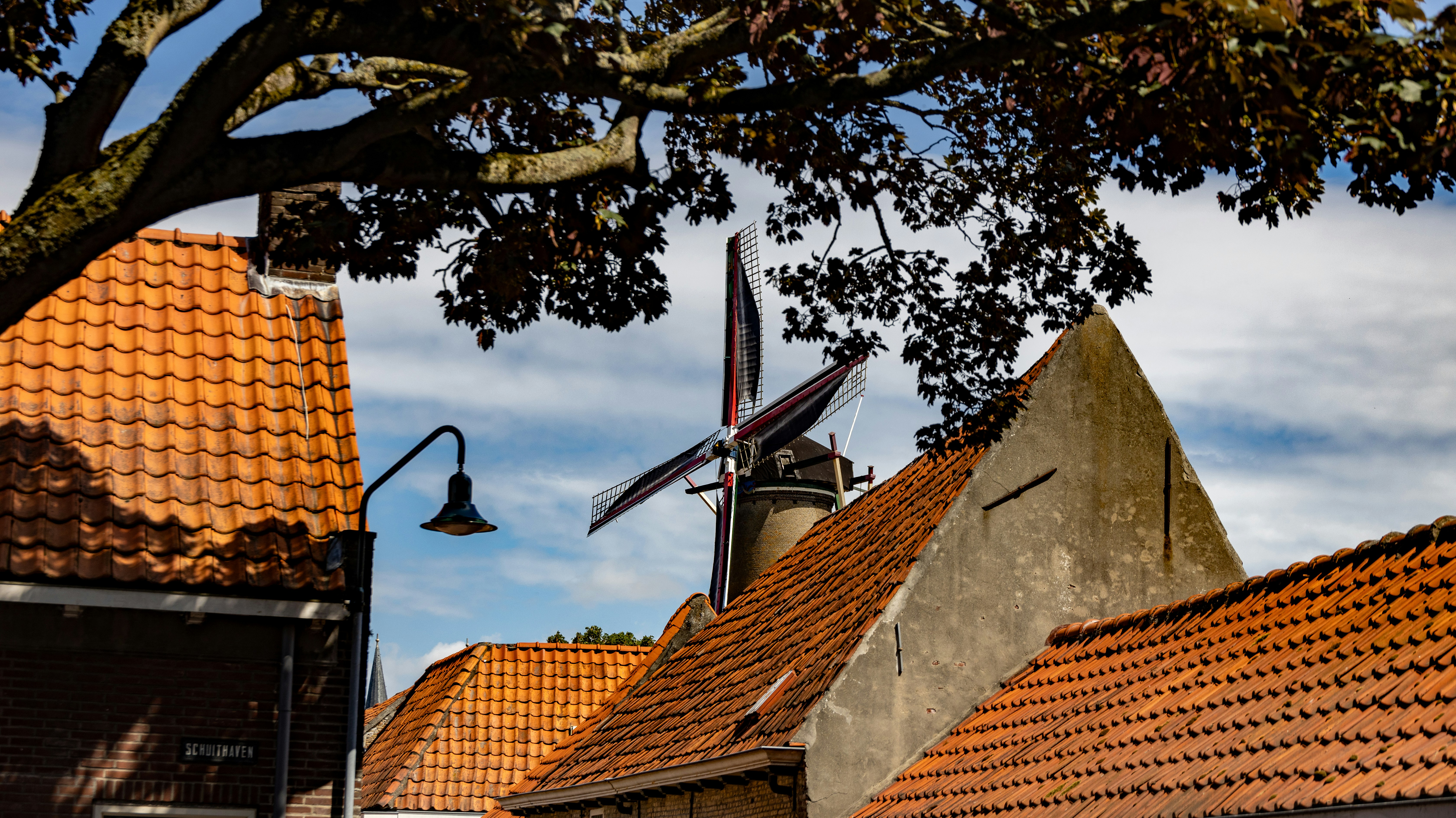 A row of red tiled roofs with a windmill in the background photo – Free ...