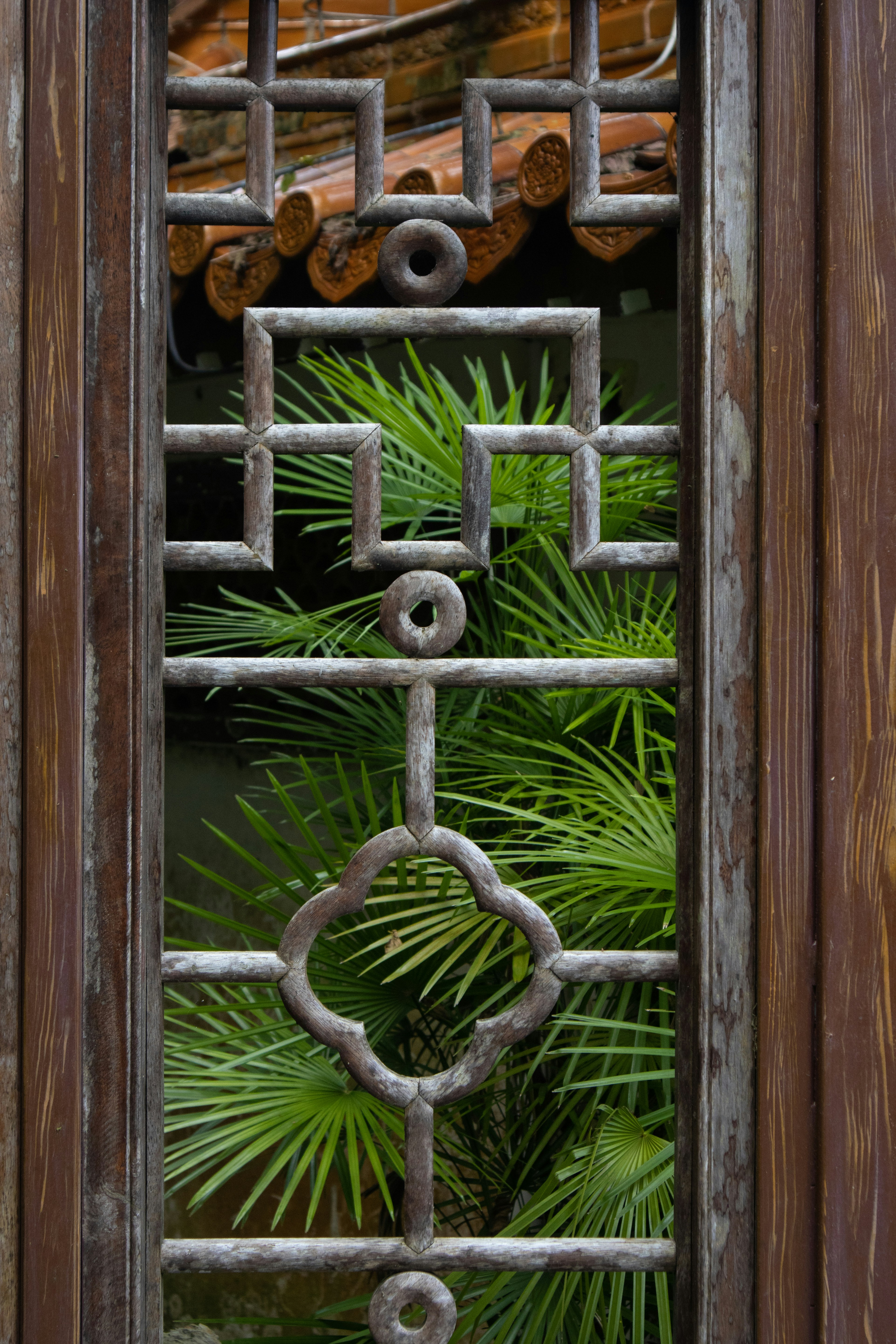 A close up of a metal gate with a pine tree in the background photo ...