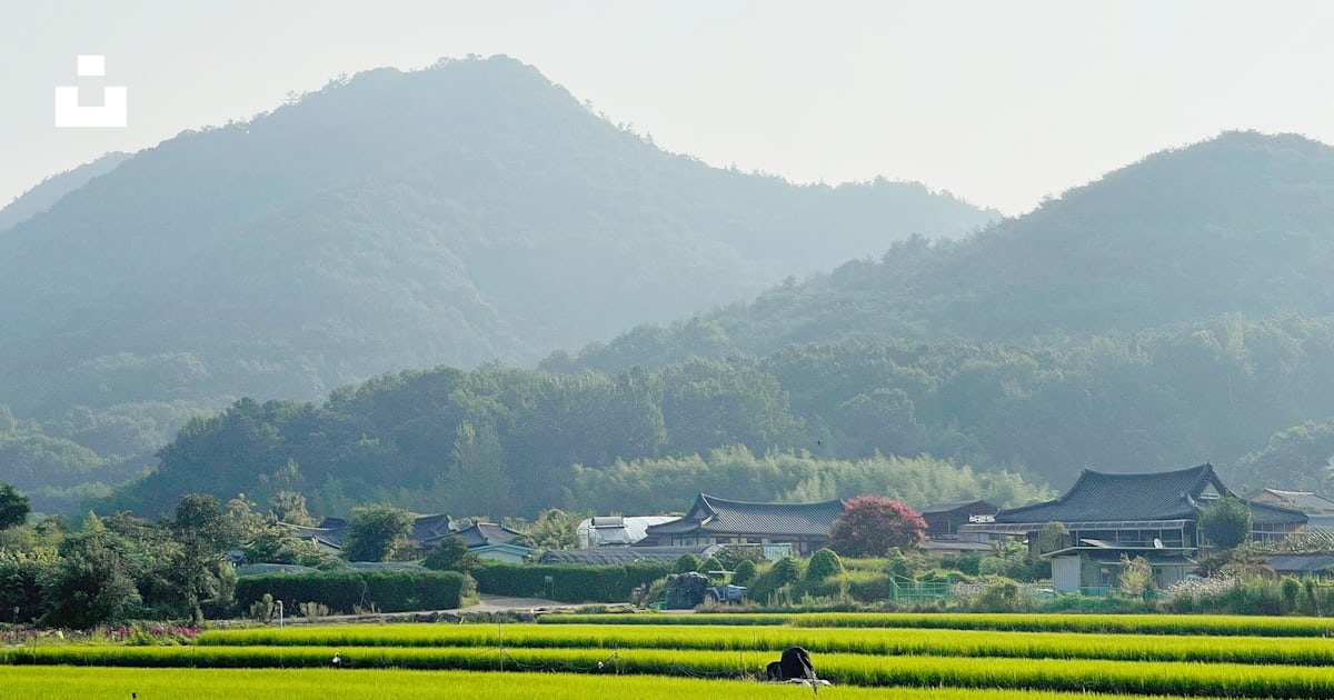 배경에 산이 있는 푸른 잔디밭의 넓은 들판 사진 Unsplash의 무료 파랑 이미지