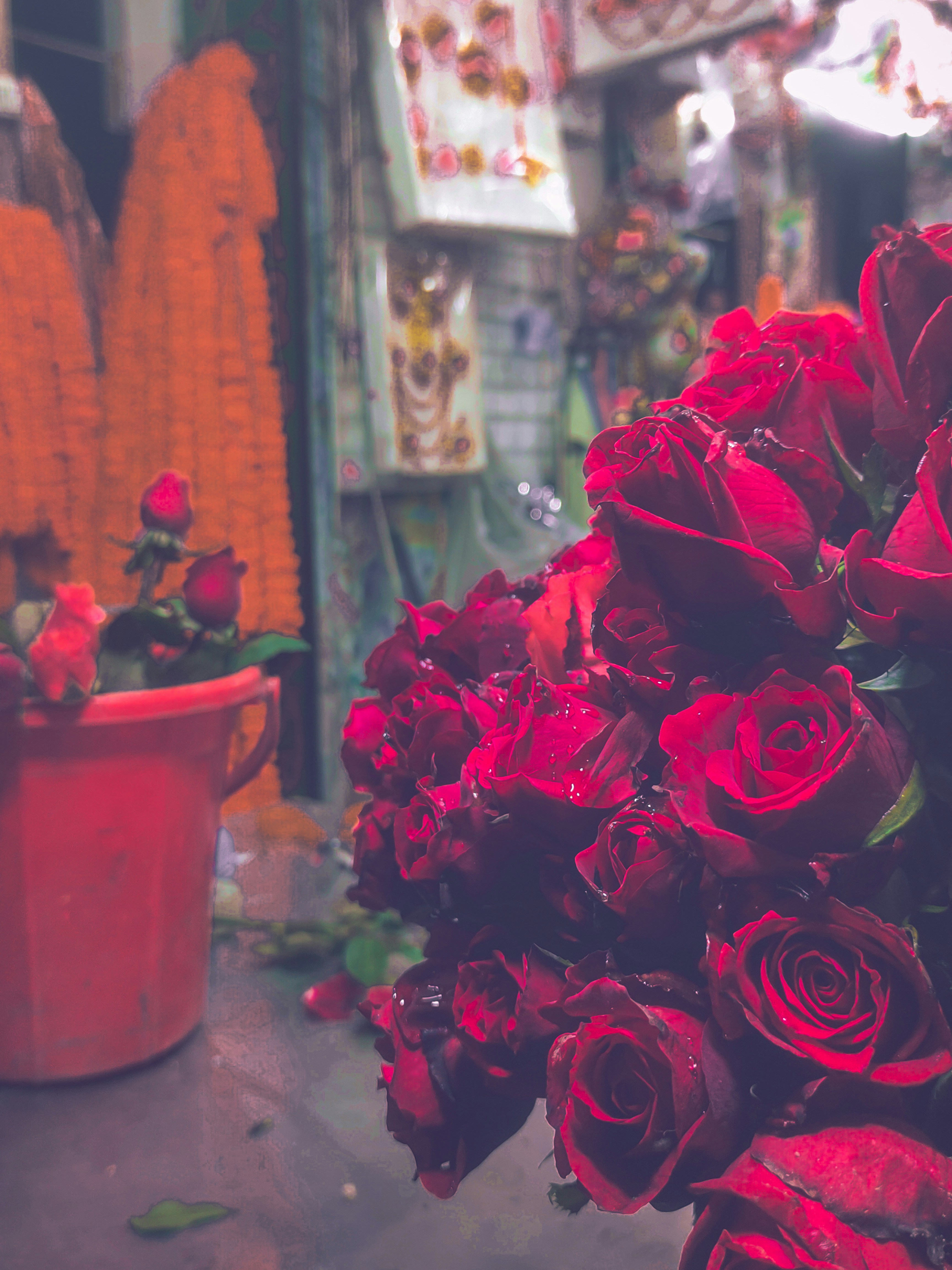 Crimson Roses in a Neon Market Glow