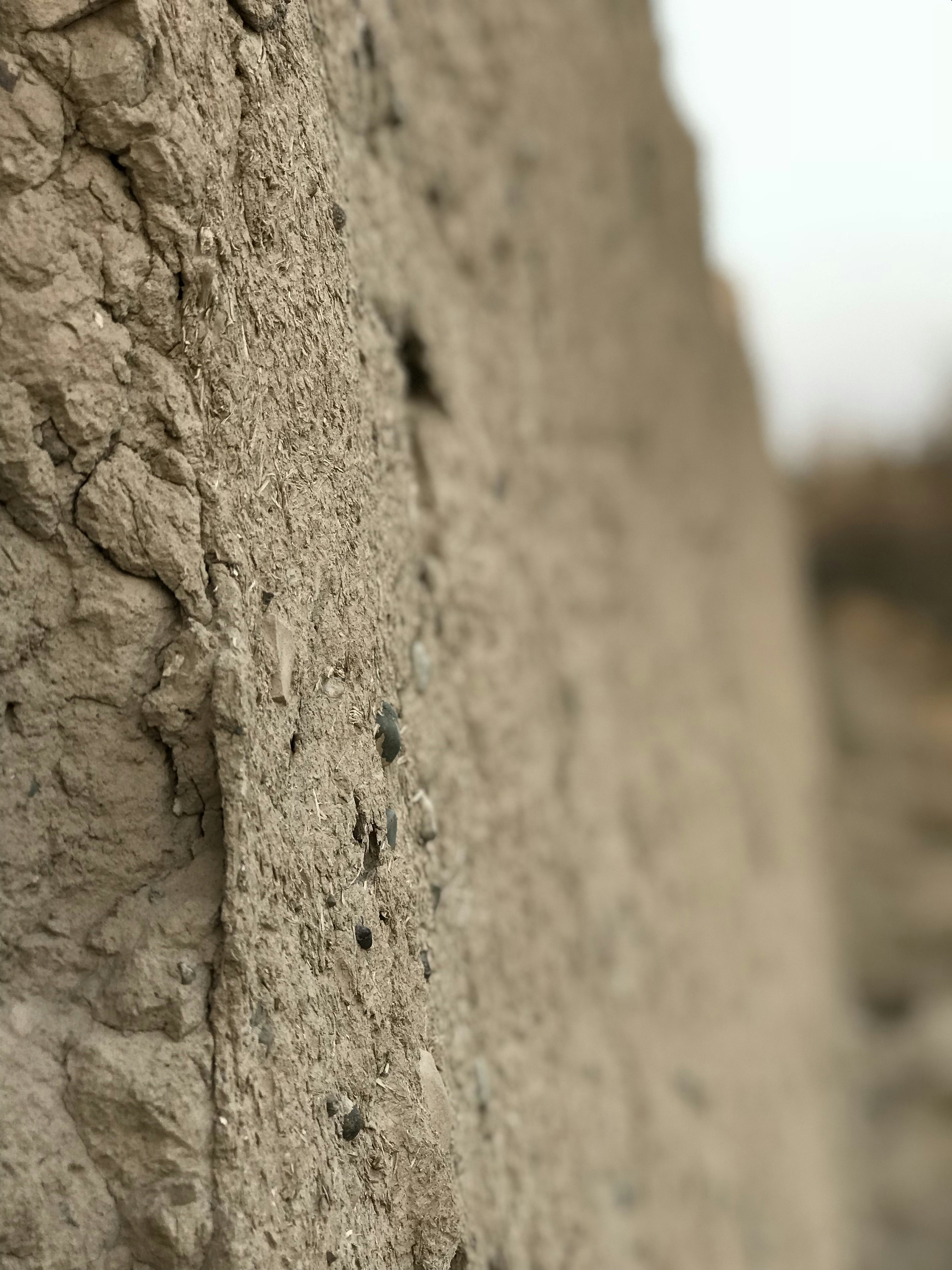 Cracked Earth Close-Up: Textural Dawn on a Sun-Dried Wall