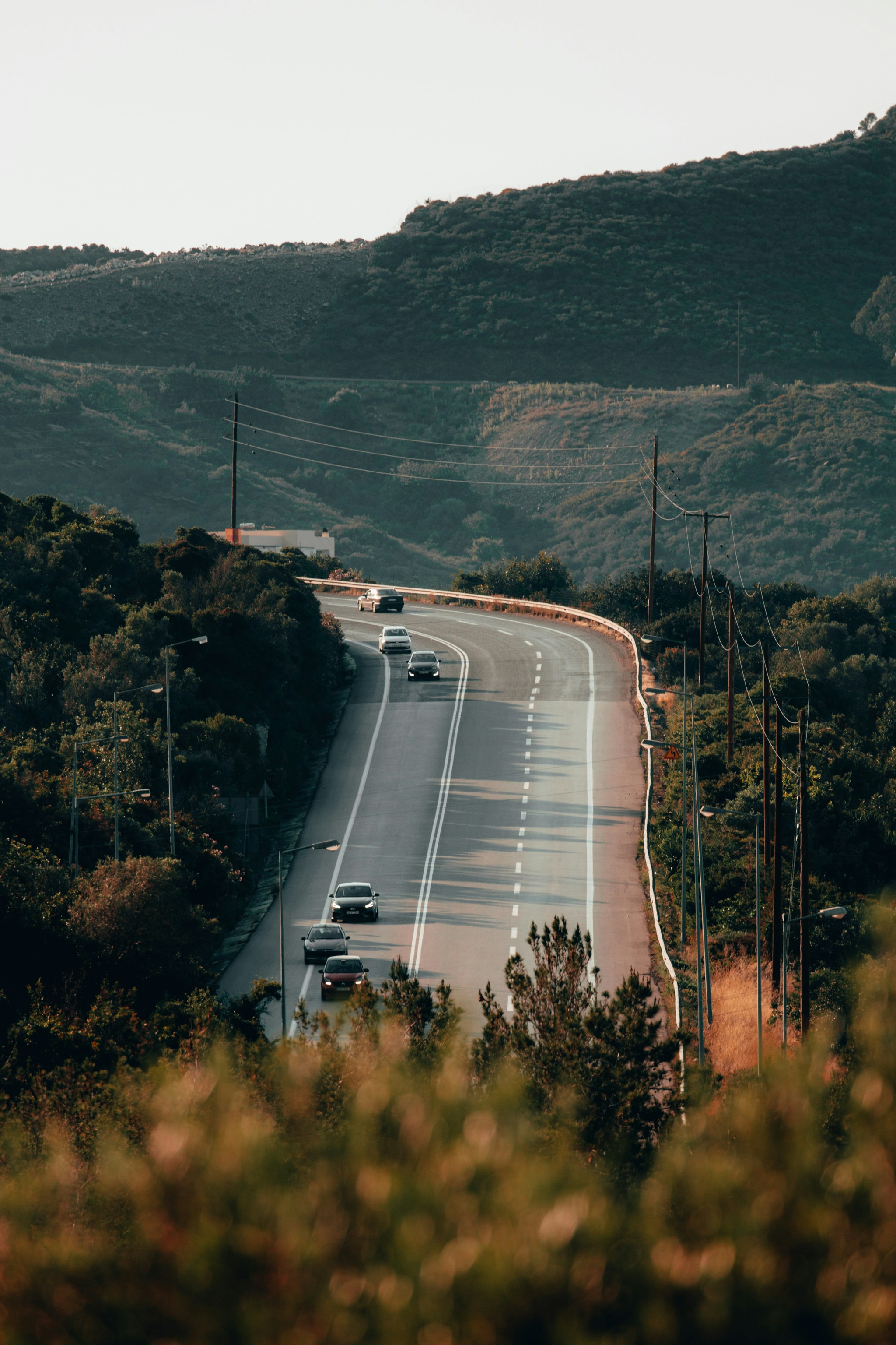 Serpentine Highway Through Sunlit Hills and Pines