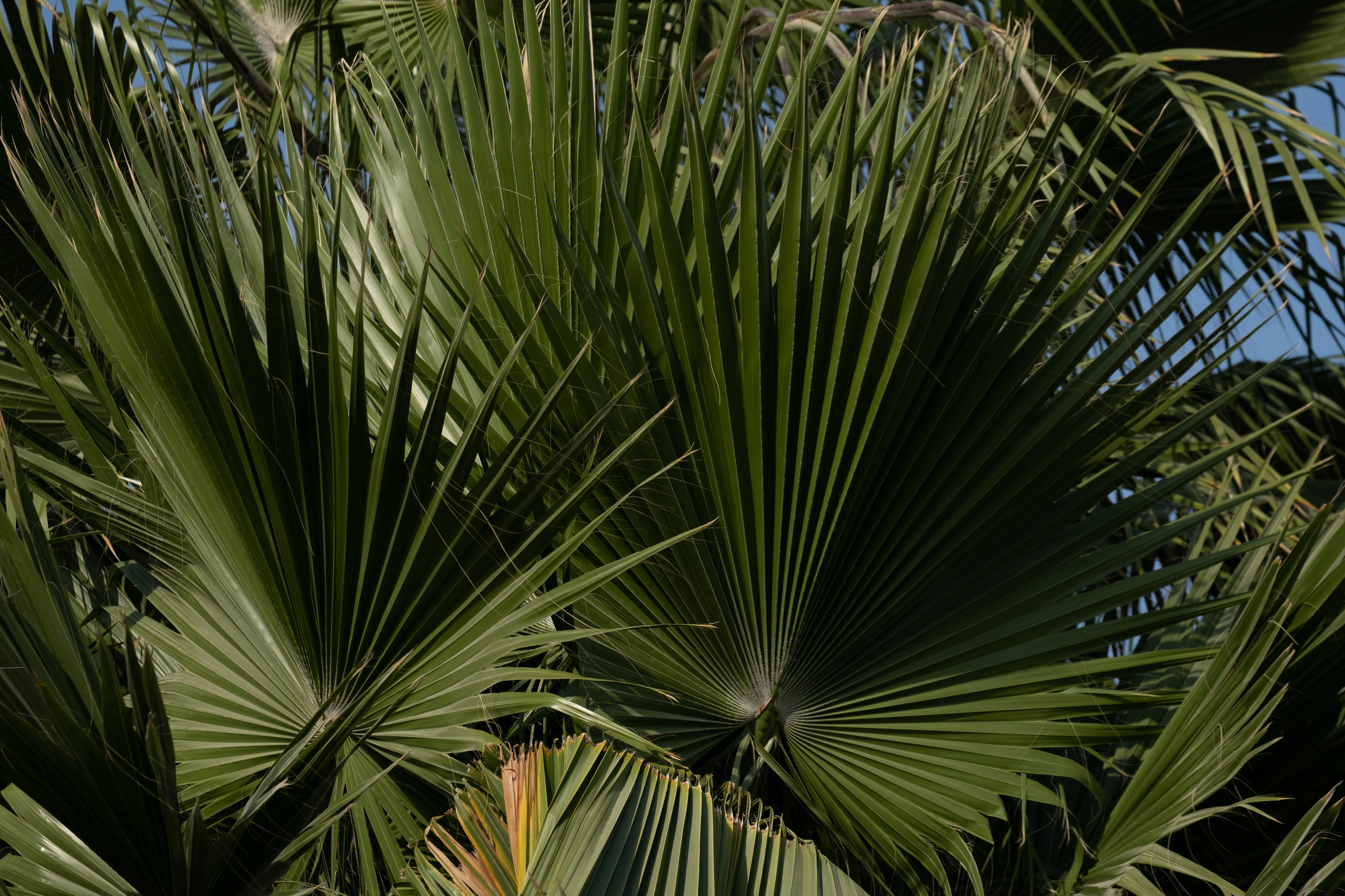 Photo by Mo with Fujifilm X-T3