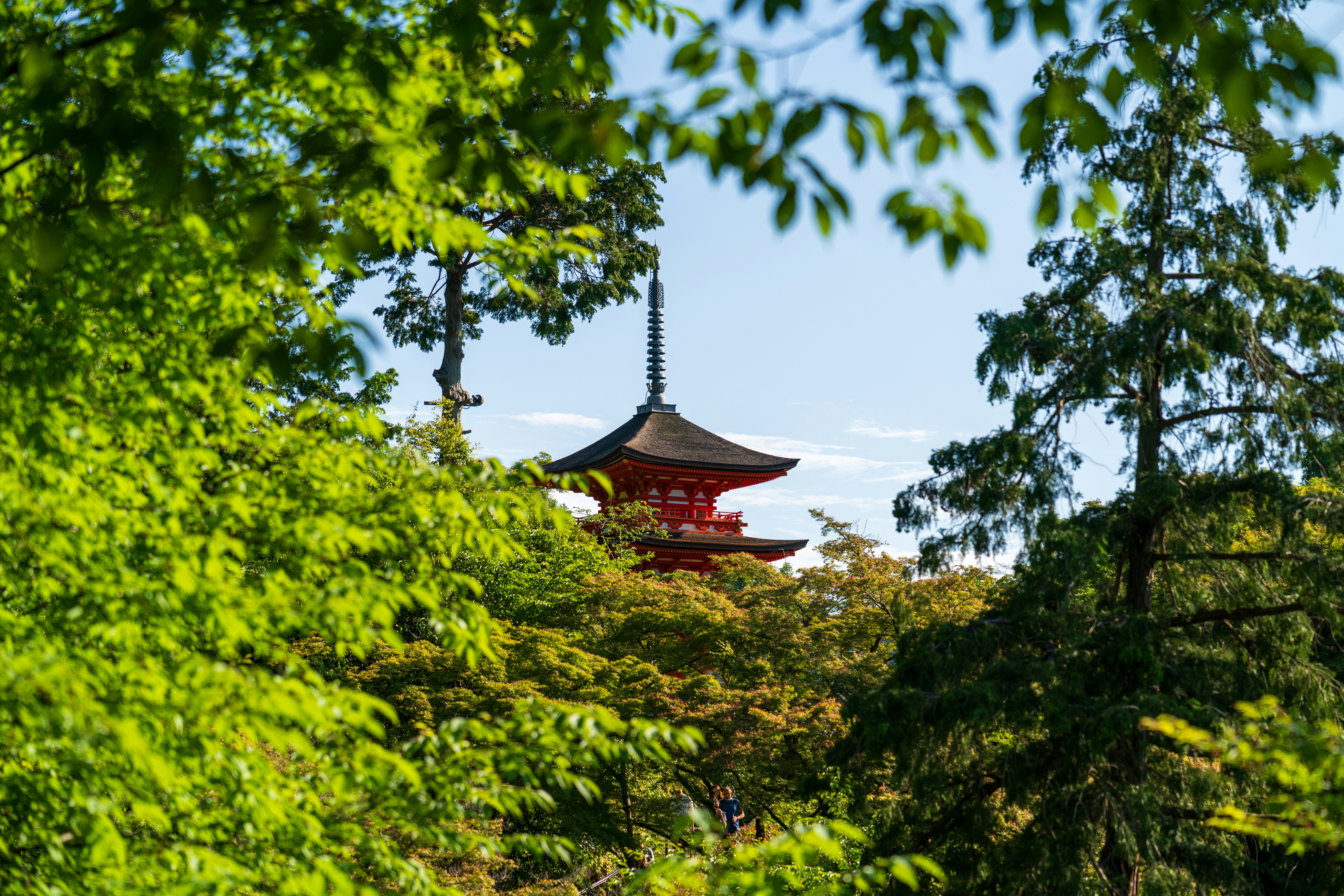 a pagoda in the middle of a forest