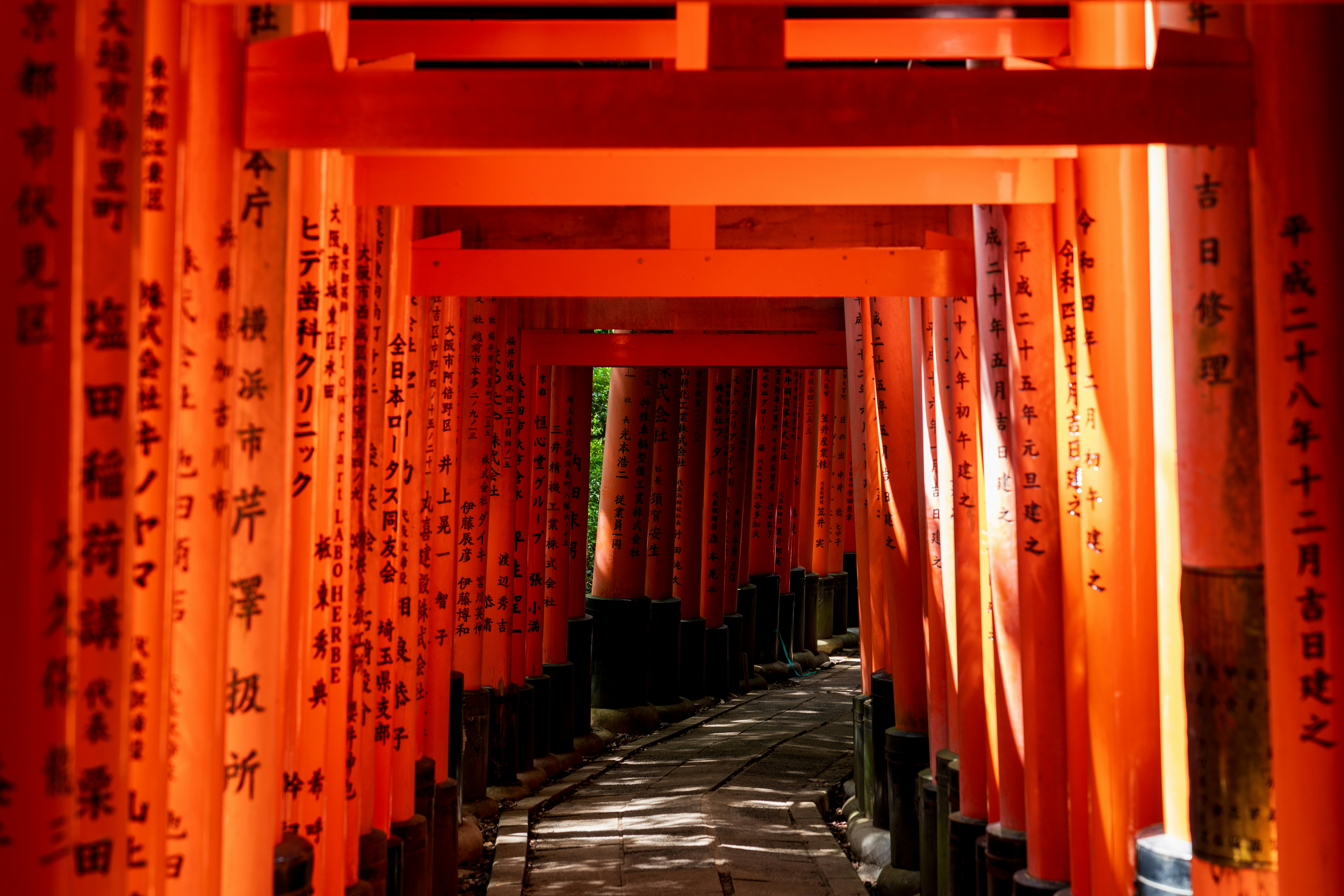 A long line of red tori tori tori tori tori tori tori tori tori tori ...