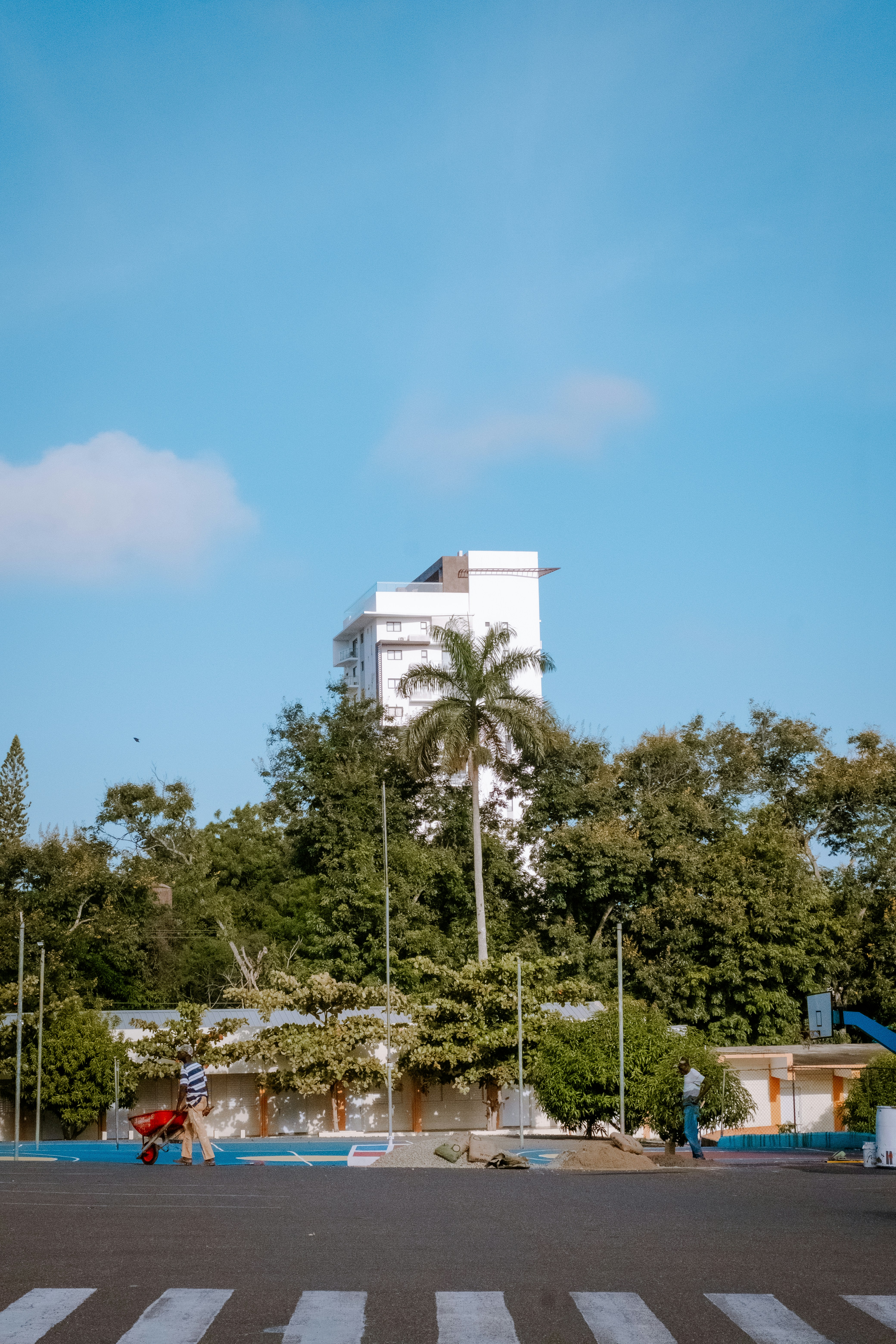 White Tower Rising Behind a Palm Canopy Under a Pristine Blue Sky