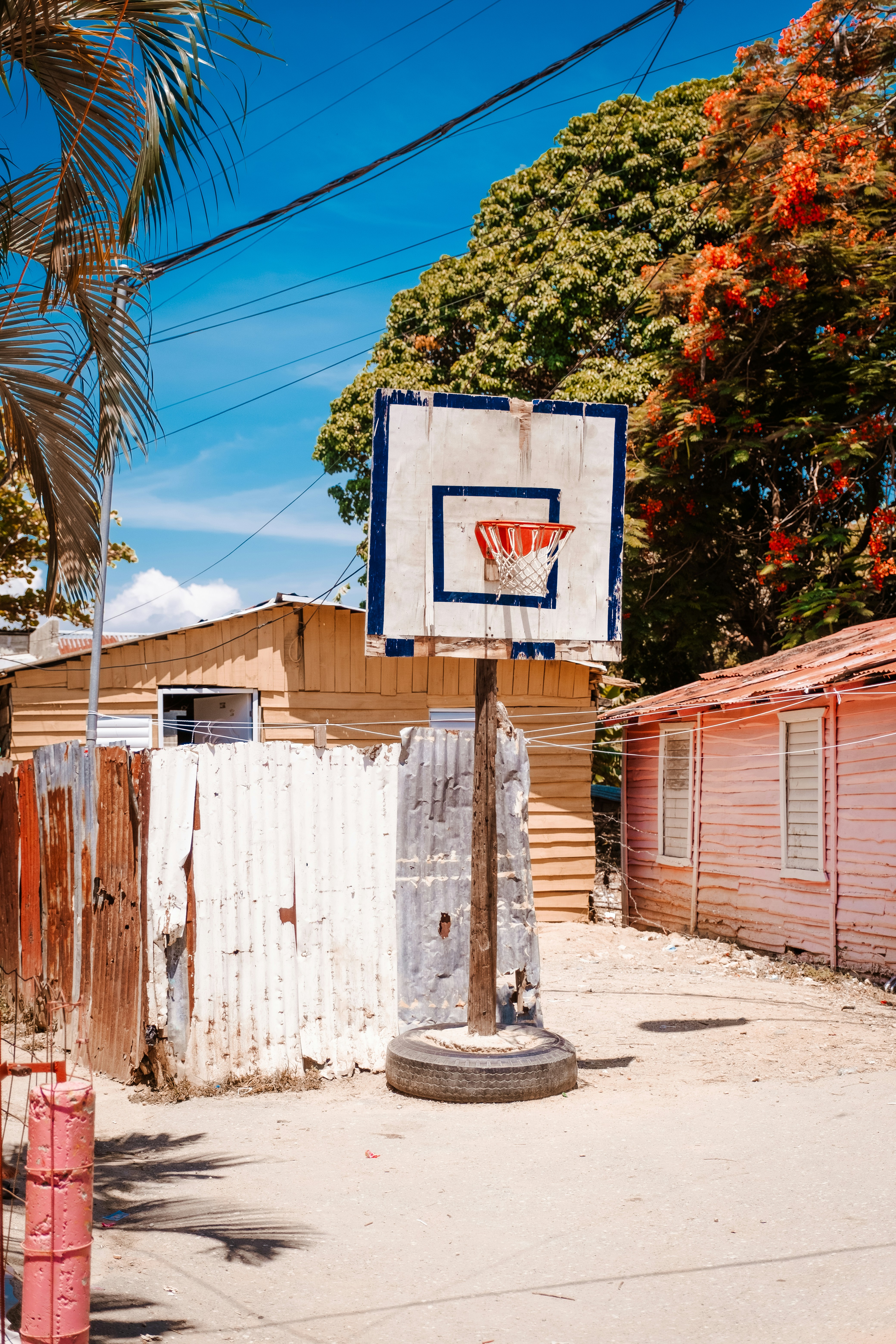 Basketball Hoop Amid Painted Dwellings in a Sunlit Yard