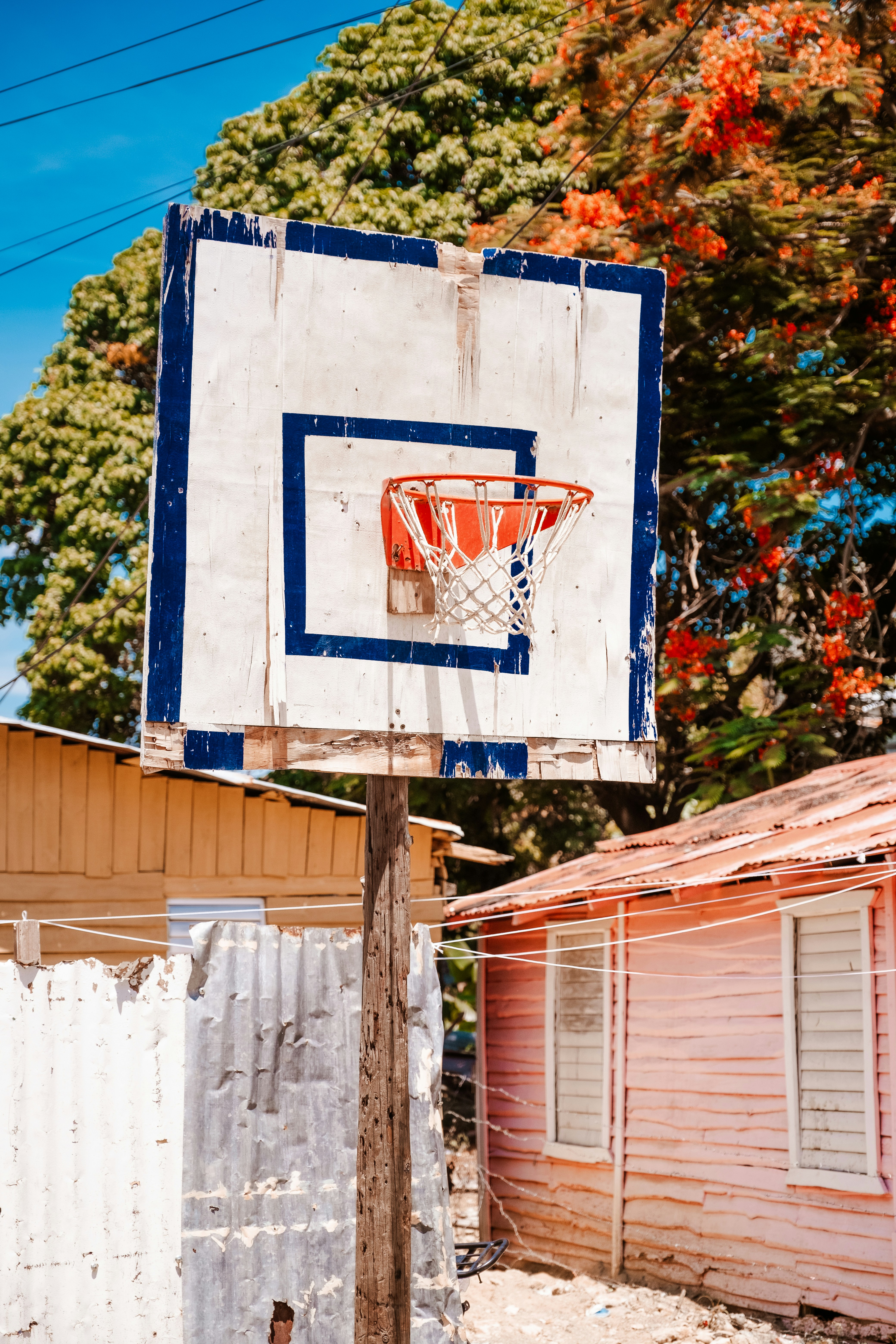 Weathered basketball backboard under a sunlit autumn canopy beside a pink house