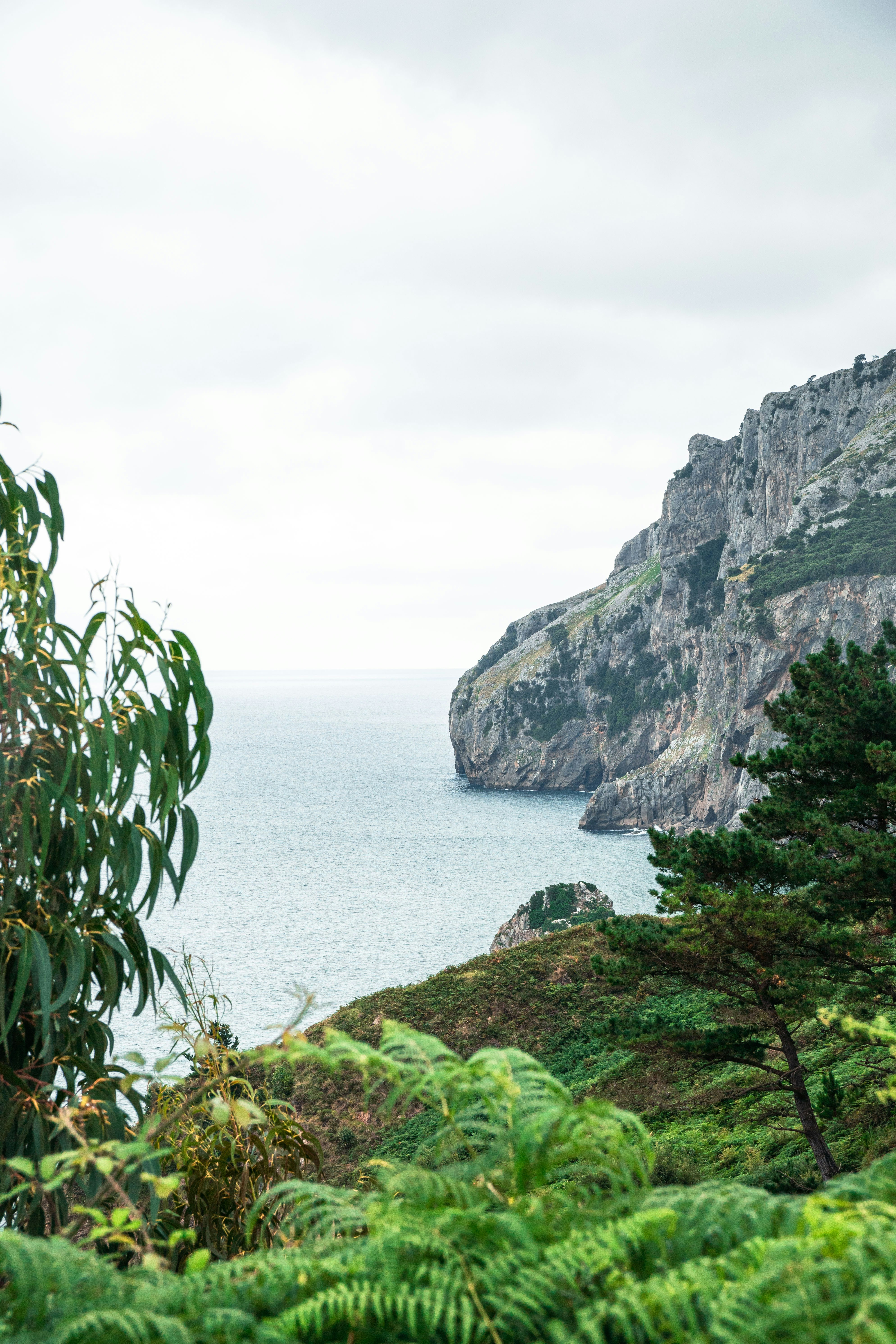 Edge of Green and Gray: Cliffside Sea View