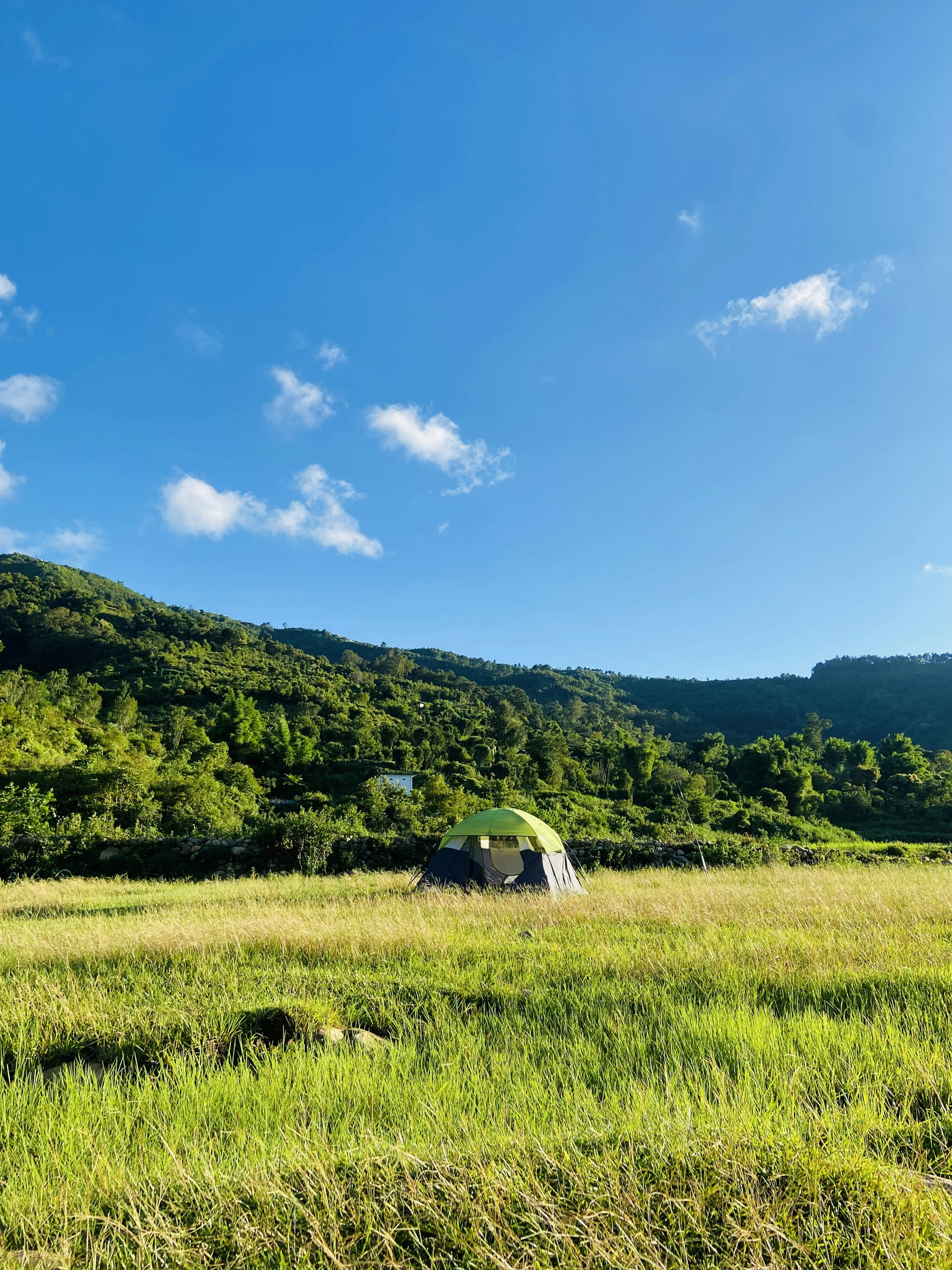 Lone Campsite in a Sunlit Meadow Under a Cobalt Sky