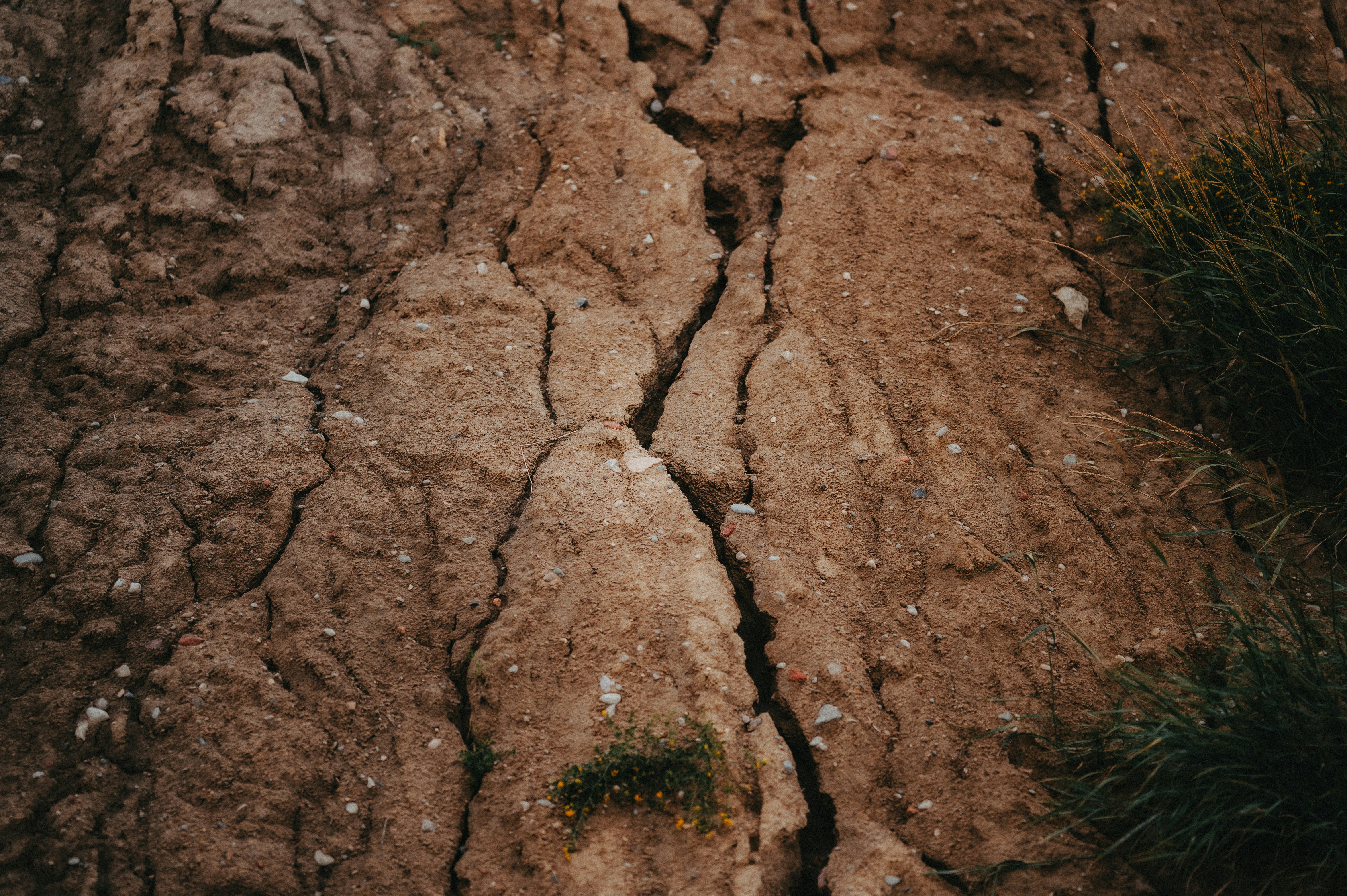 A crack in the ground with grass growing out of it photo – Free Latvia ...