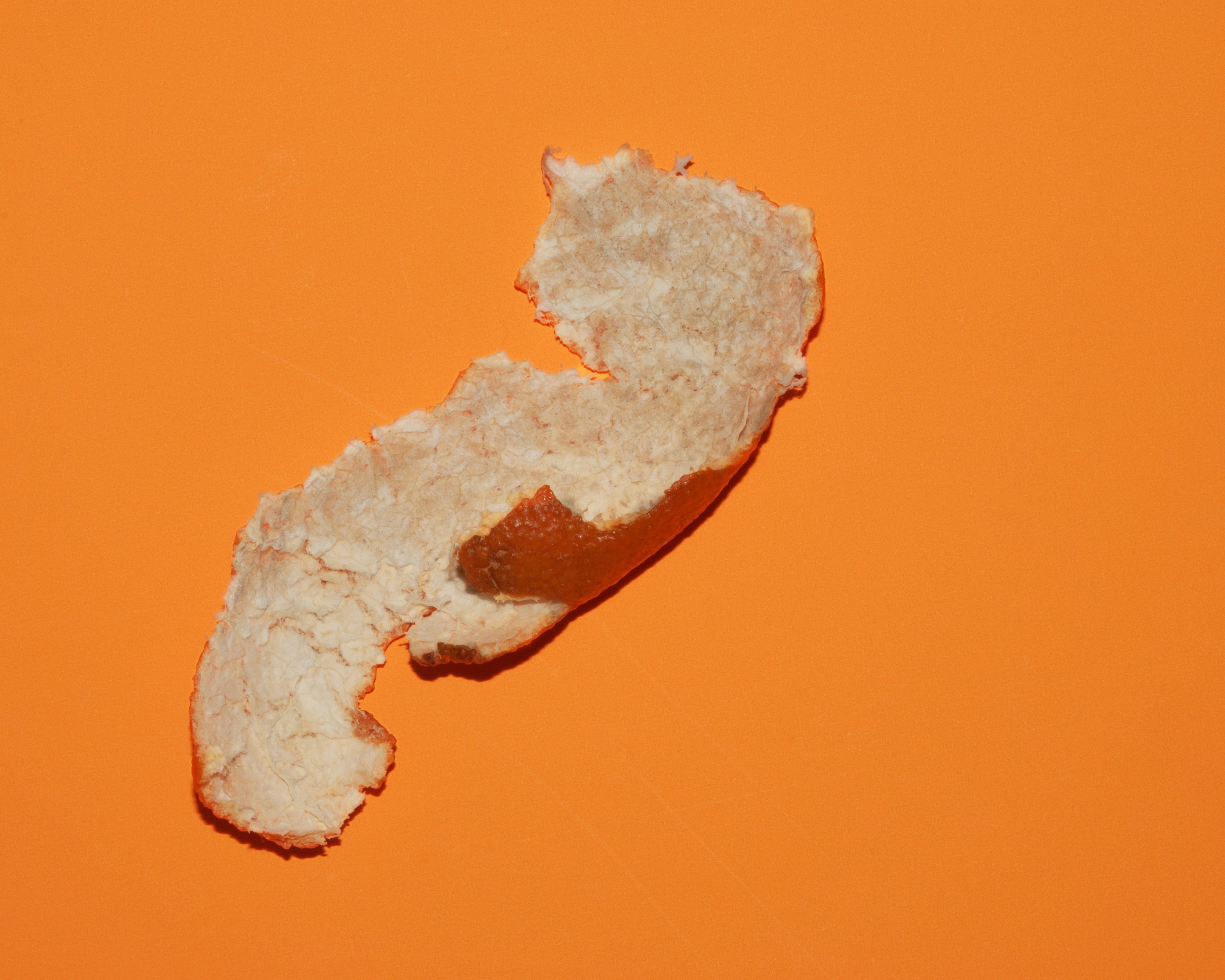 Solitary Crumb Drifting Across a Tangerine Canvas