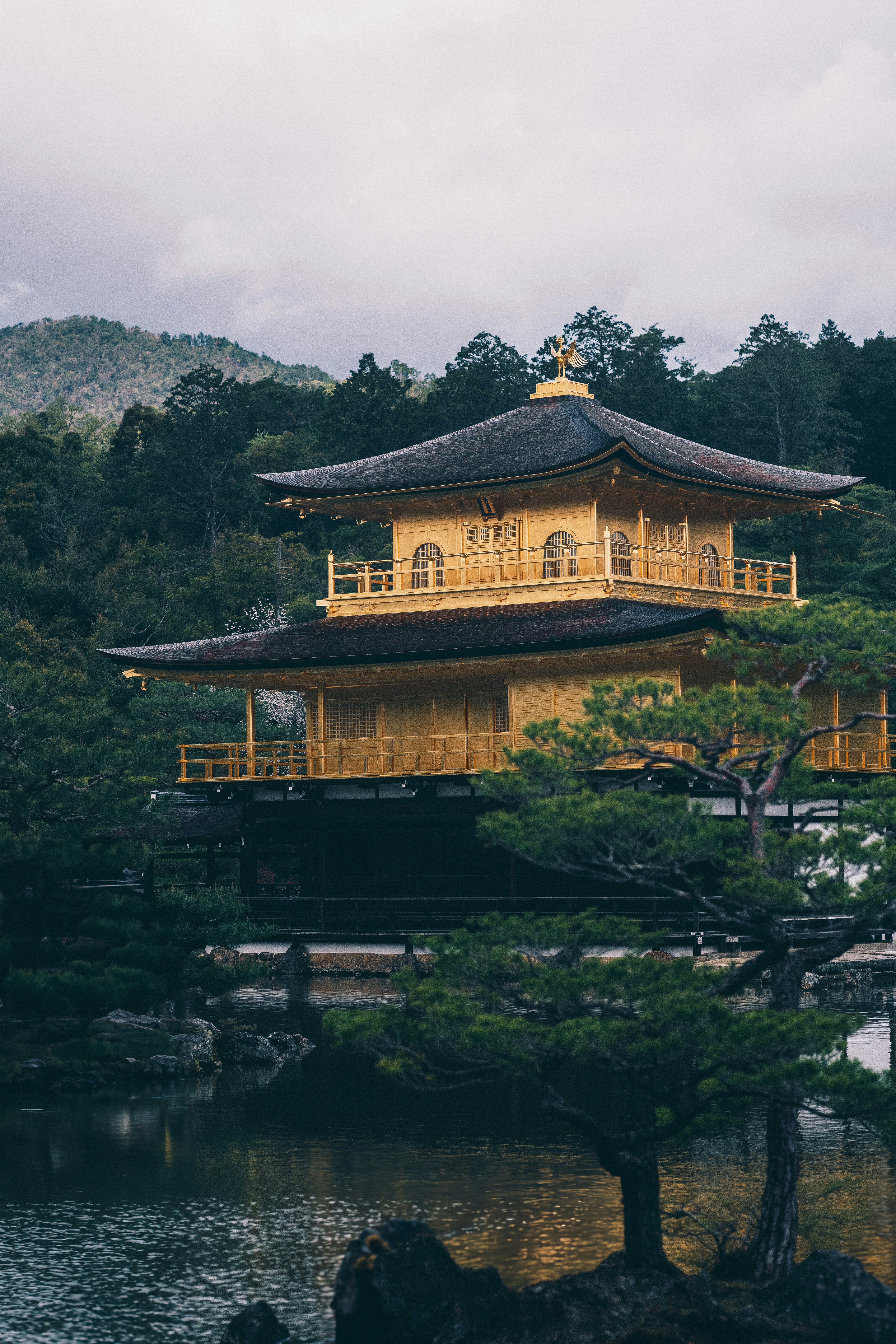 Kyoto's Golden Pavilion: Quiet Reflections at the Edge of a Tranquil Pond