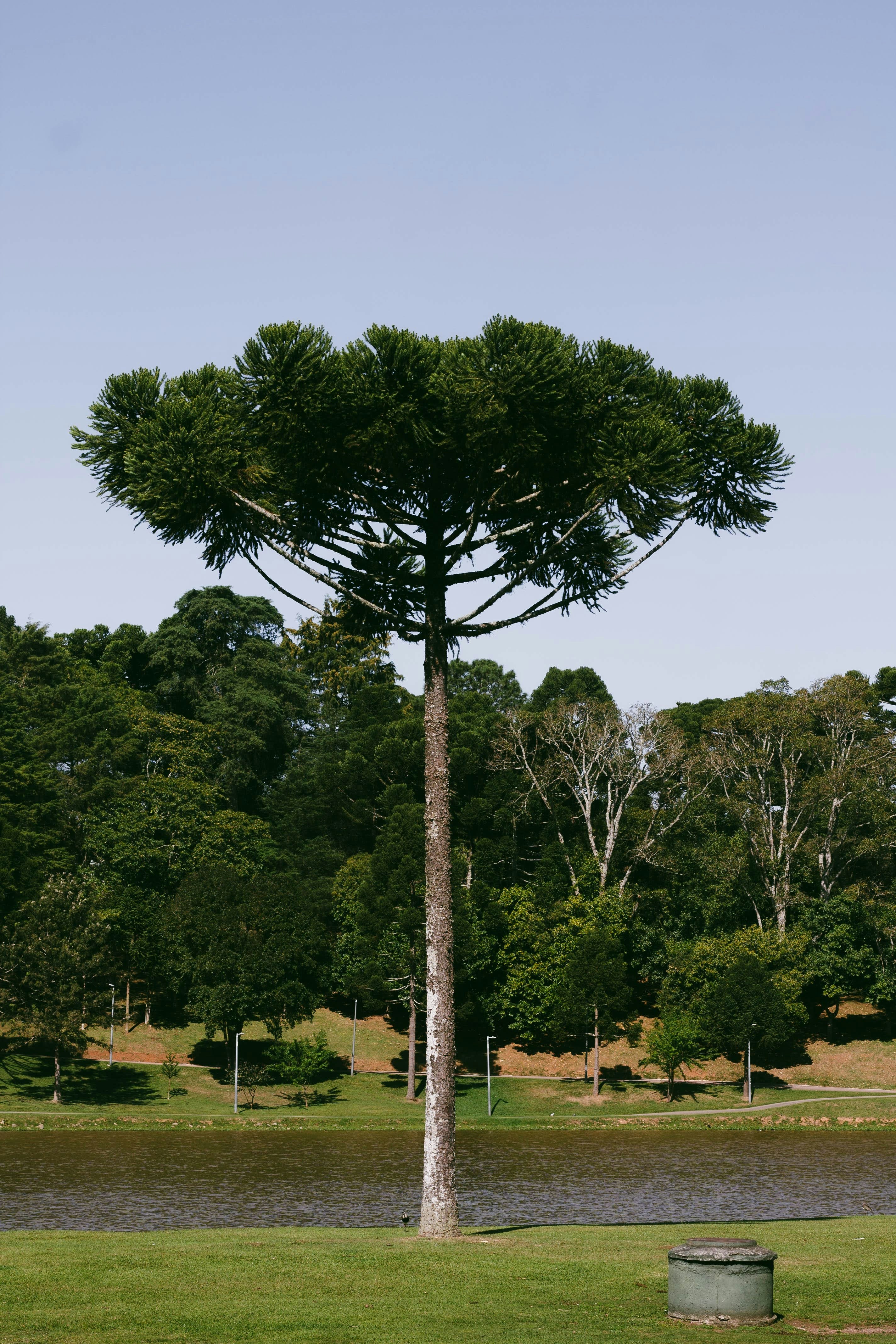 Photo by Rafael Sales with Canon EOS 1100D