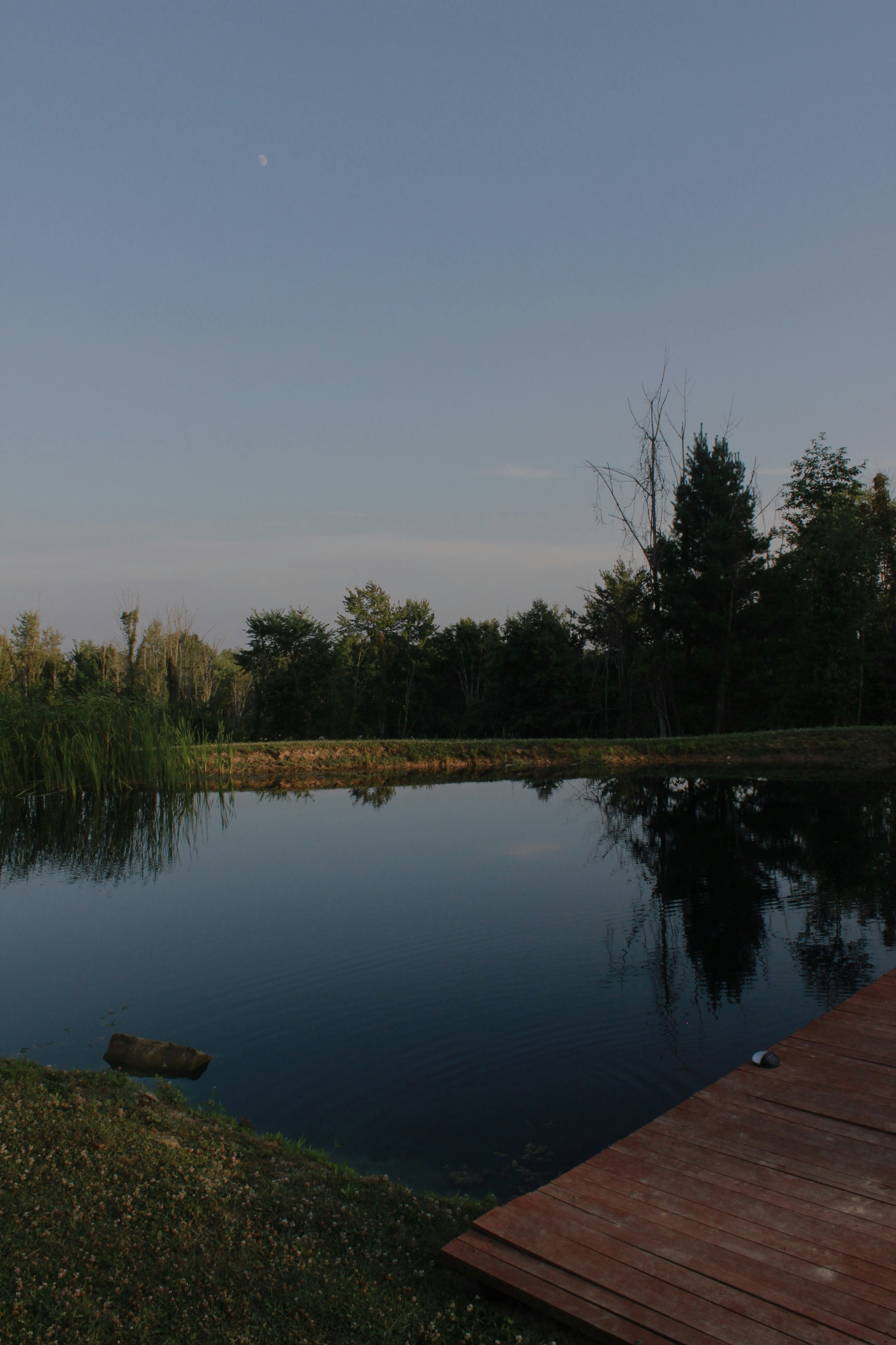 Moonrise Over a Serene Lakeside: Reflections, Trees, and a Wooden Dock