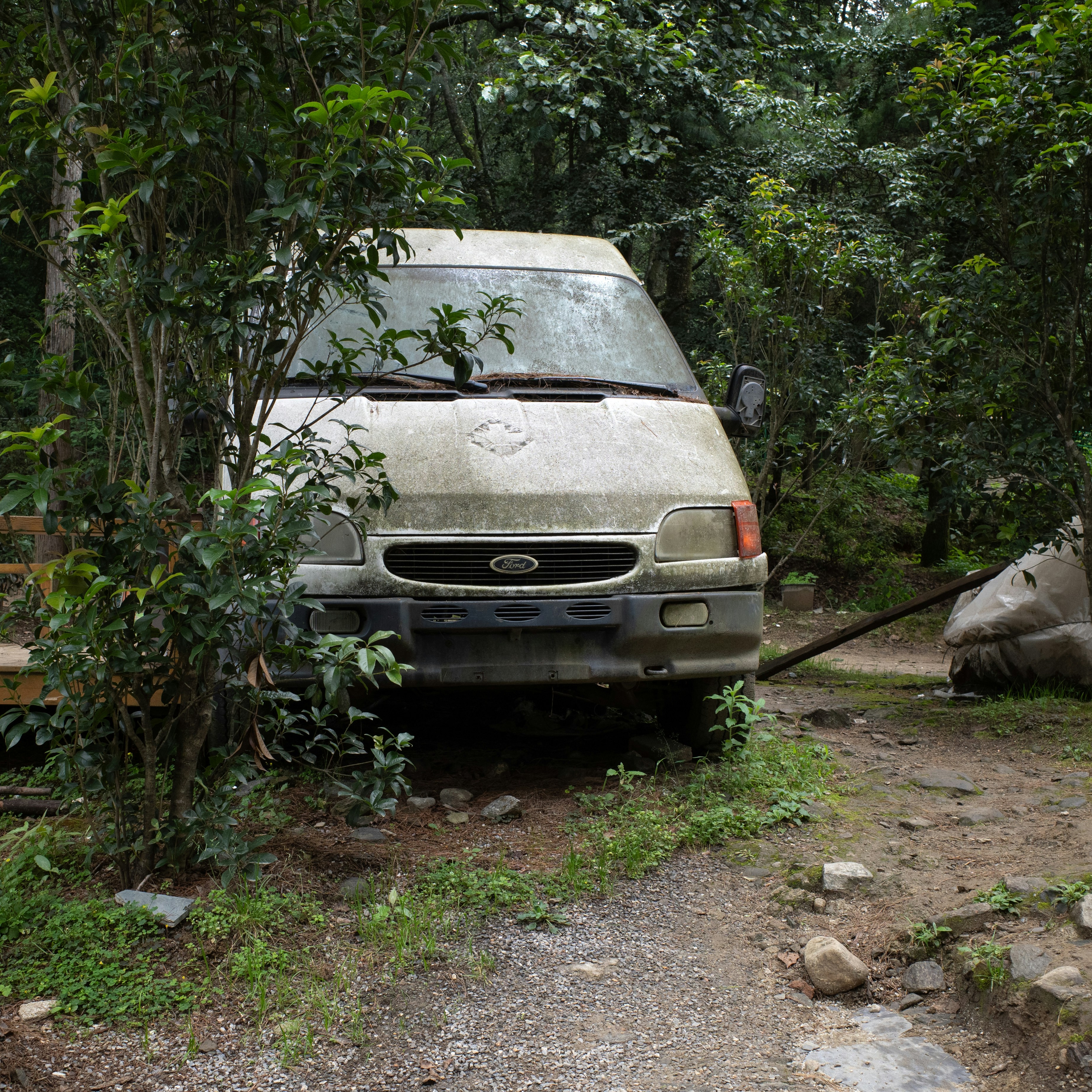 Dusty white van sits abandoned among overgrown shrubs and rocky ground in a secluded yard.