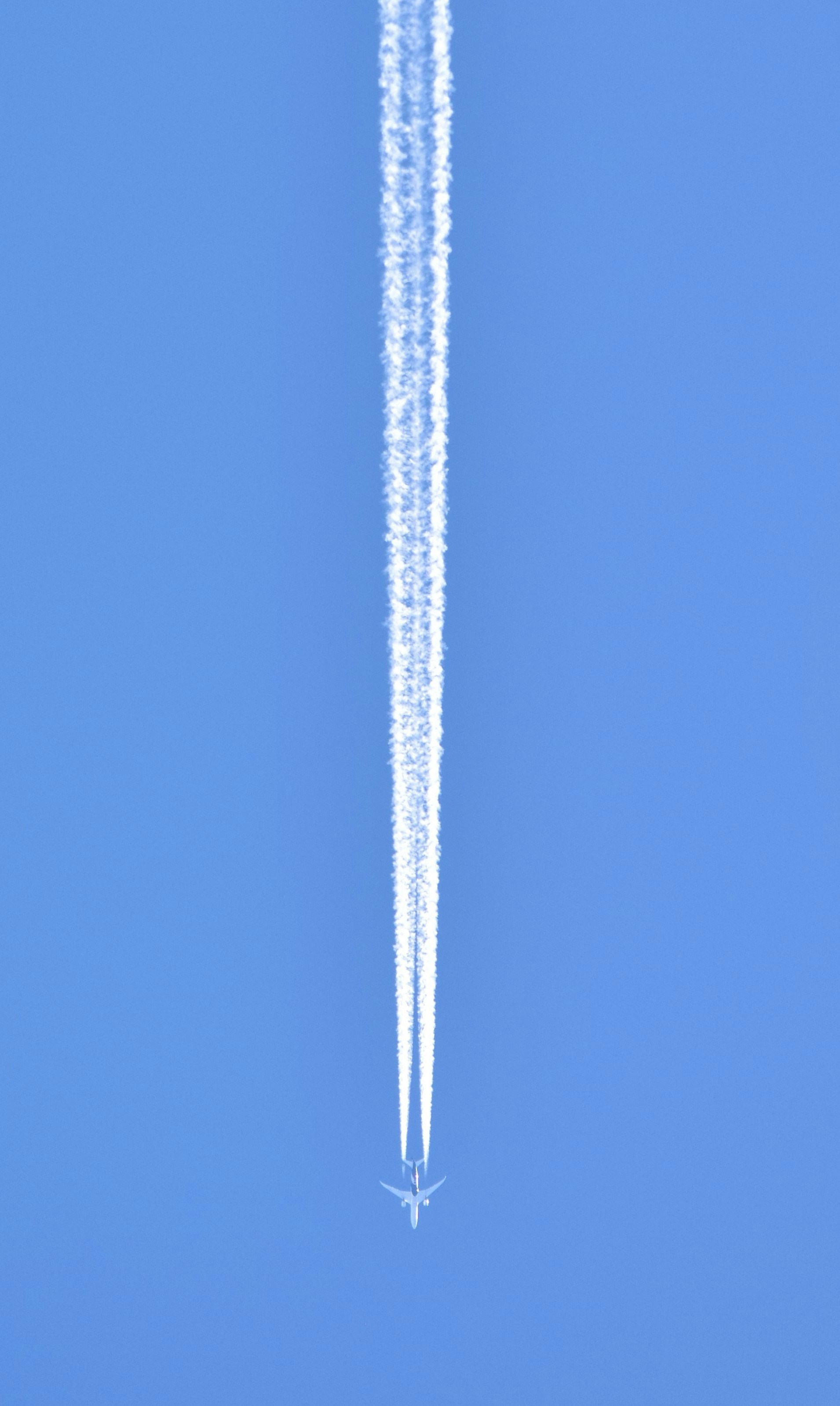 Airpalne Pictures | Download Free Images on Unsplash