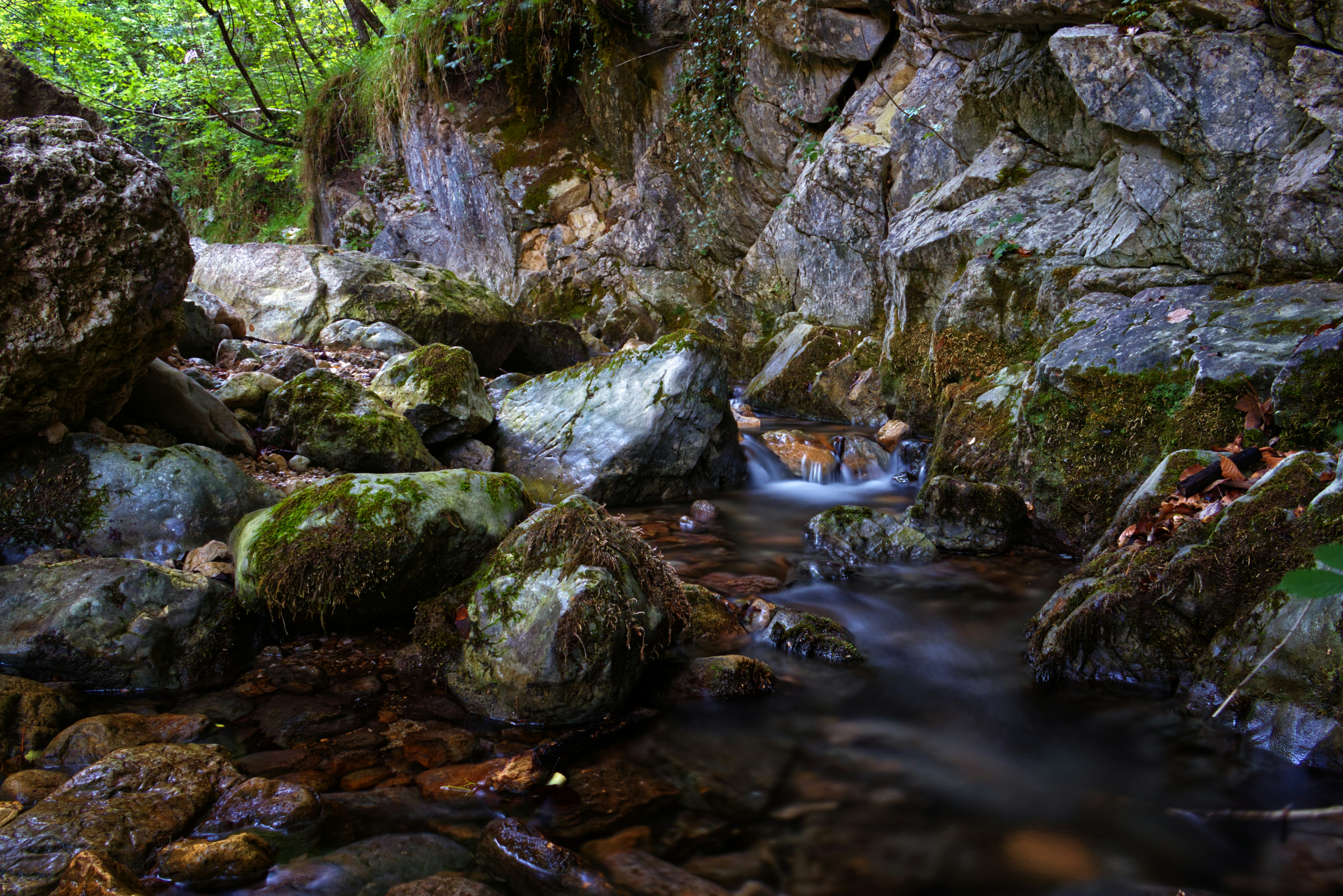 Whispering Waters Among Mossy Stones