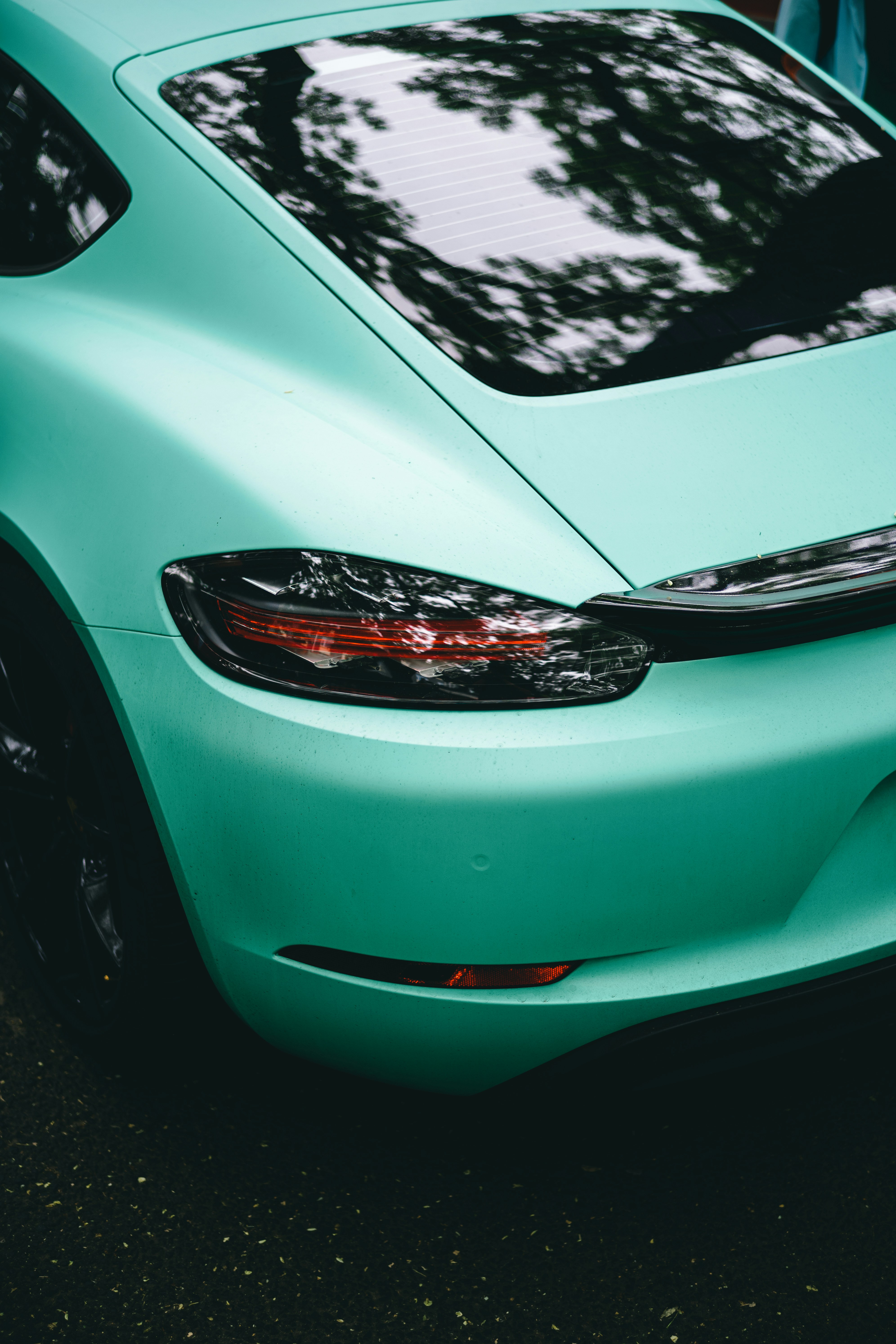 Mint Curve: A Teal Coupe's Rear Silhouette and Tree-Reflected Glass