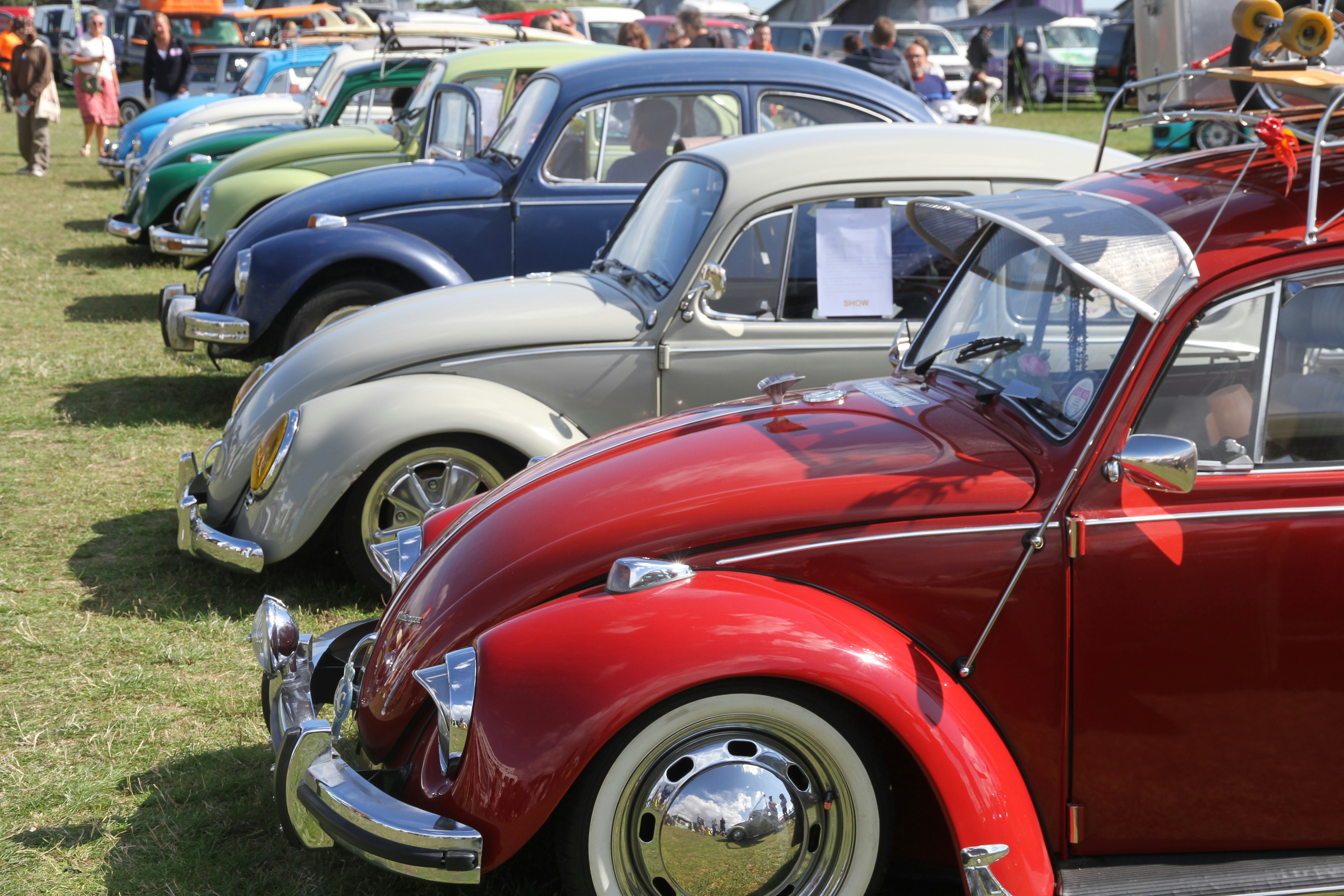 Lineup of classic Volkswagen Beetles in various colors showcased at a car show, highlighting their iconic design and retro appeal.
