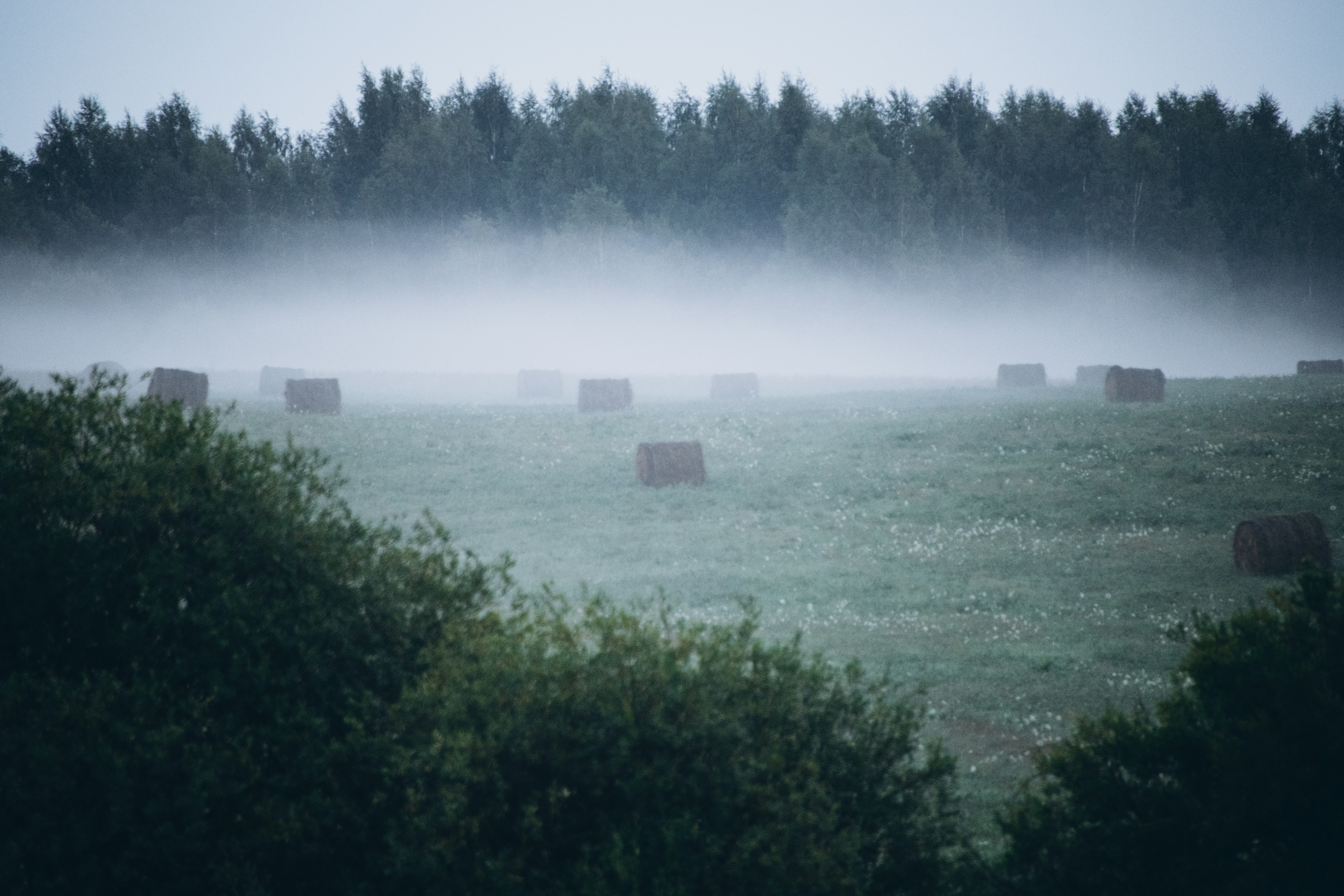 A foggy field with hay bales in the foreground photo – Free Fog Image ...