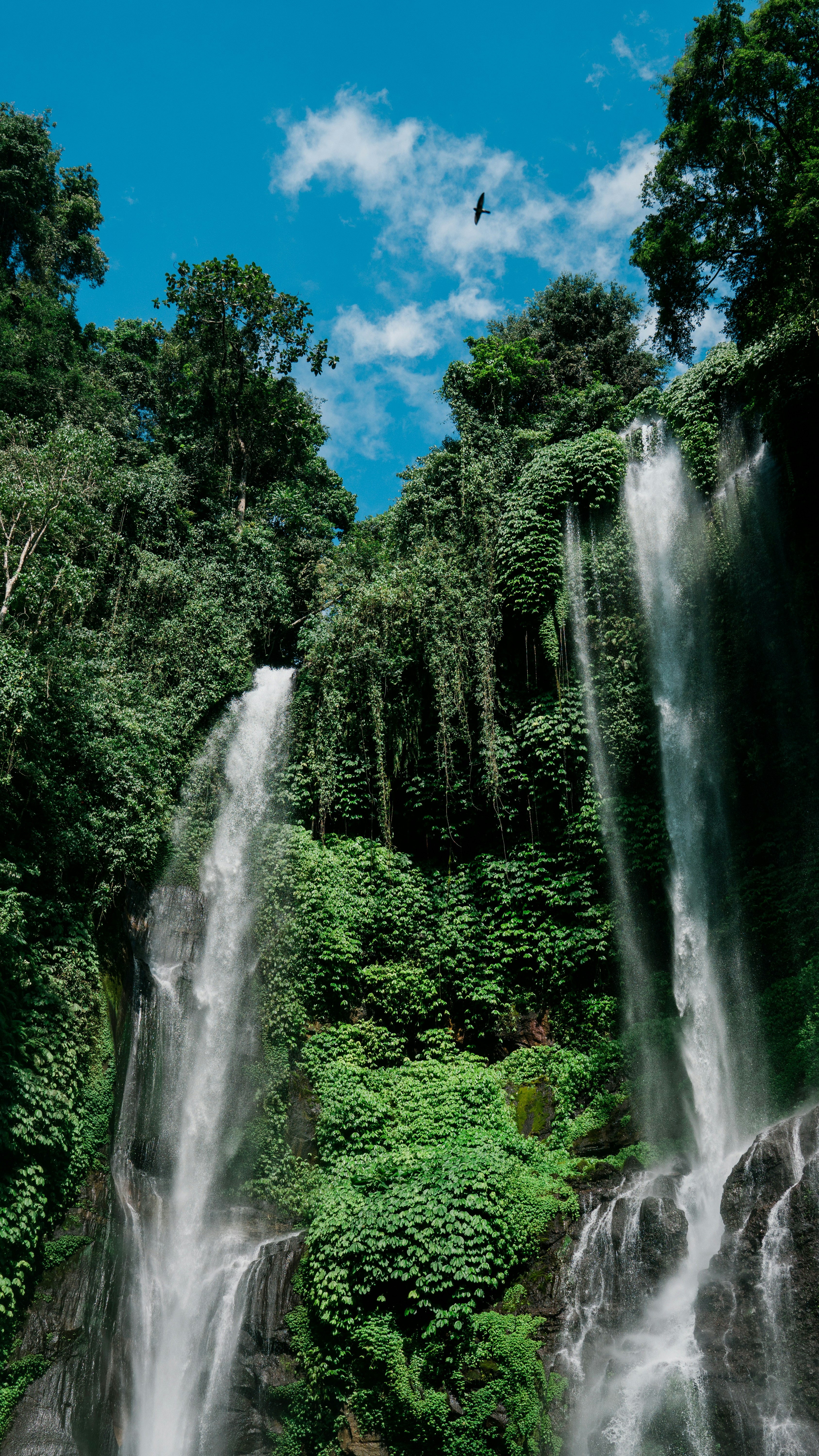Un groupe de personnes debout devant une cascade photo – Photo Bali Gratuite sur Unsplash