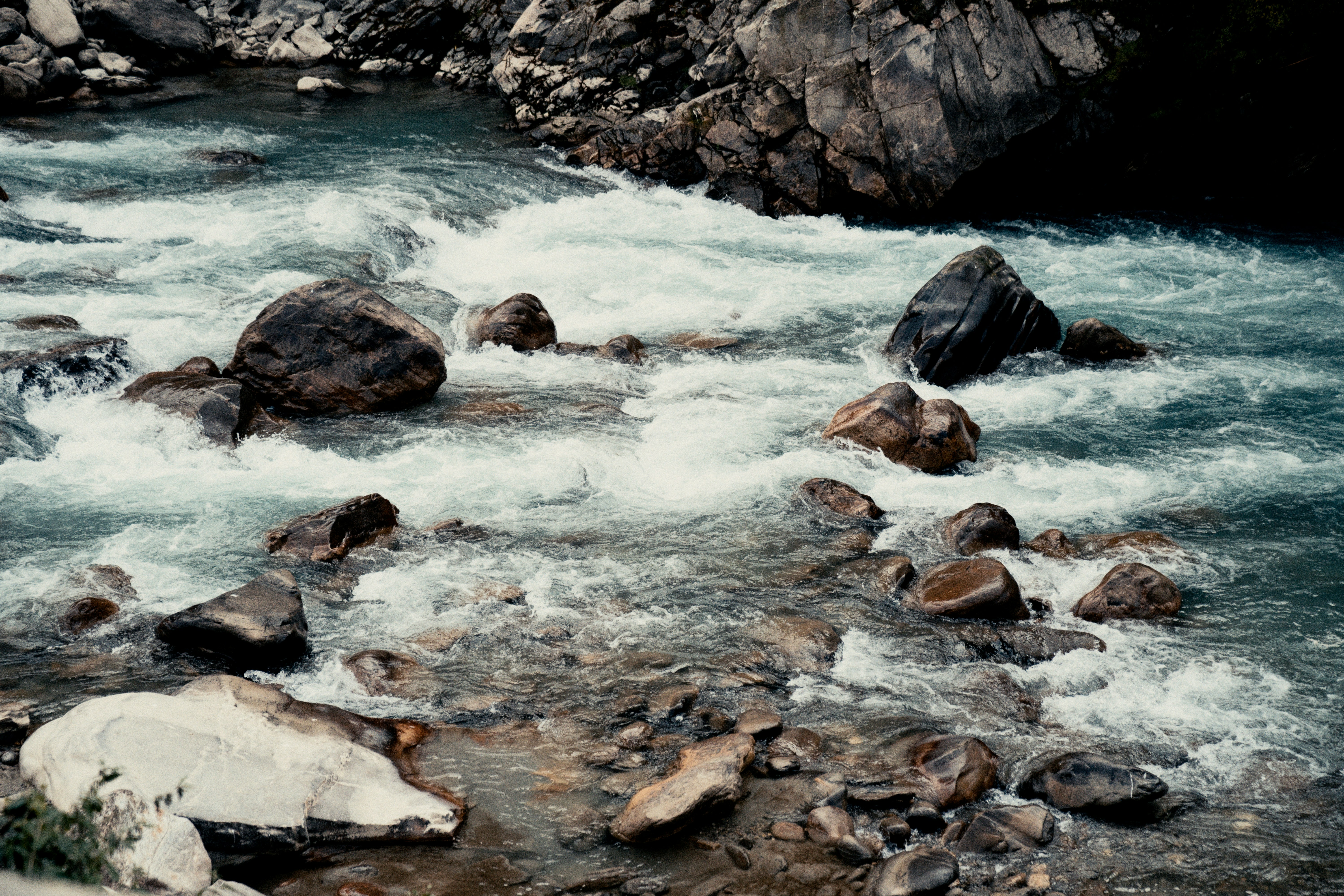 Freshwater Pictures | Download Free Images on Unsplash