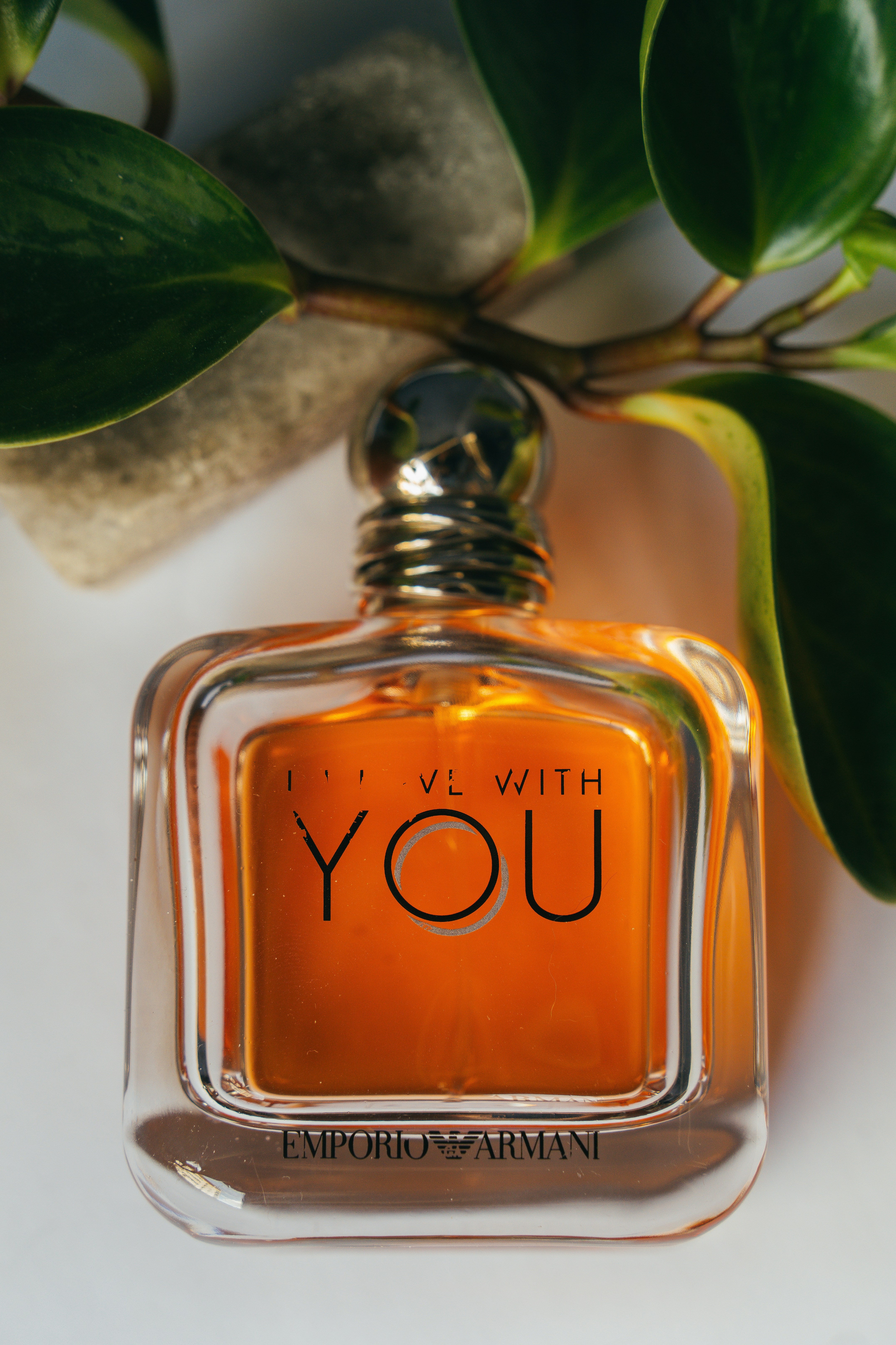 Photo by Maria Sime with Sony Alpha 7 IV