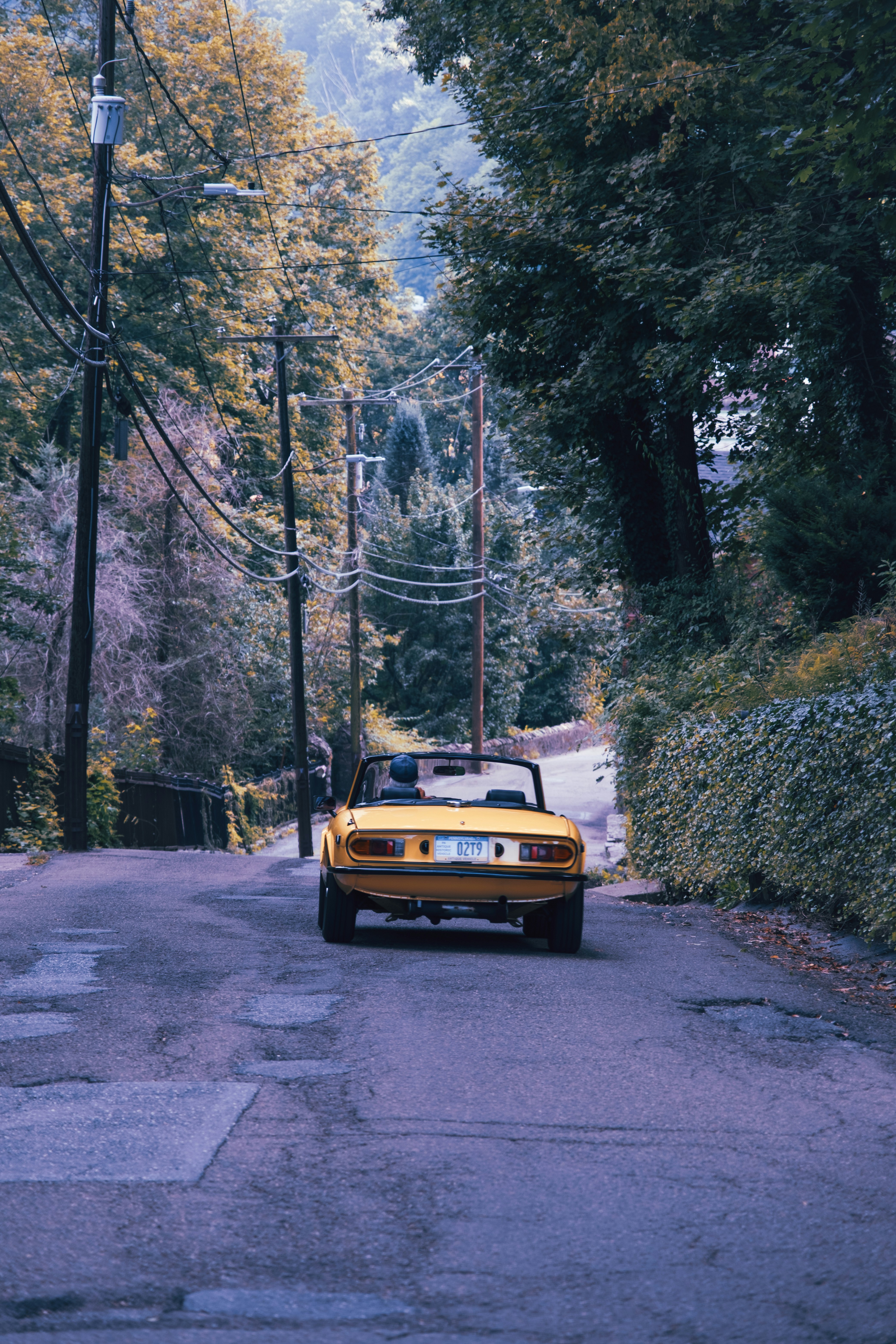 Amber Cabriolet on a Quiet, Tree-Lined Autumn Road