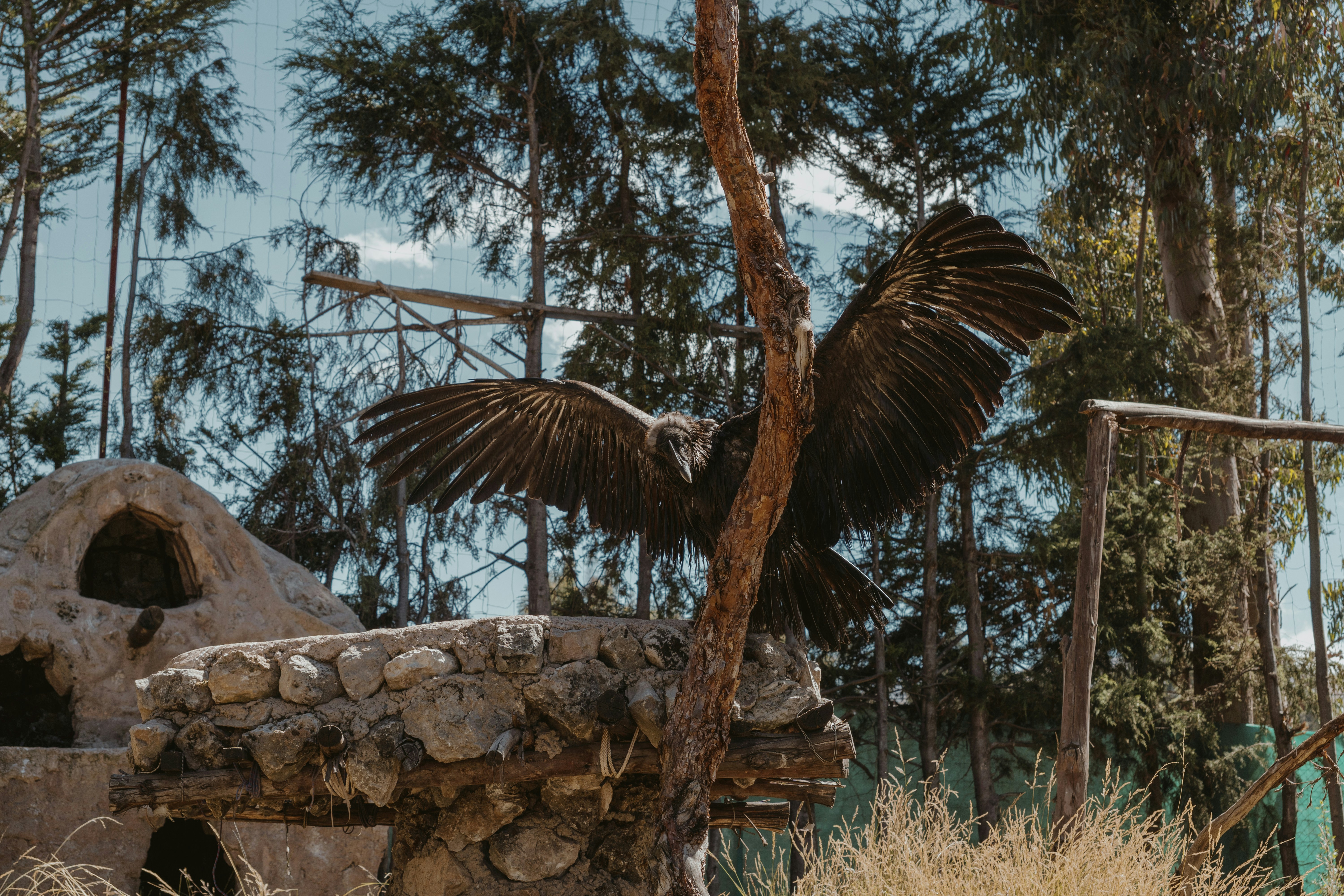 Photo by Emmanuel Cassar with Sony Alpha 6400