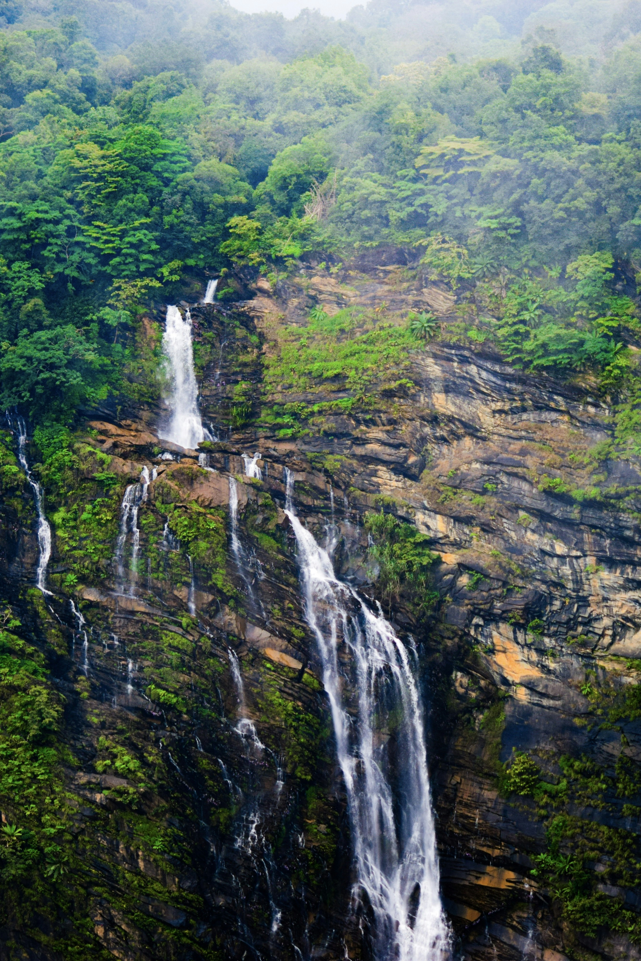 A very tall waterfall surrounded by lush green trees photo – Free India ...
