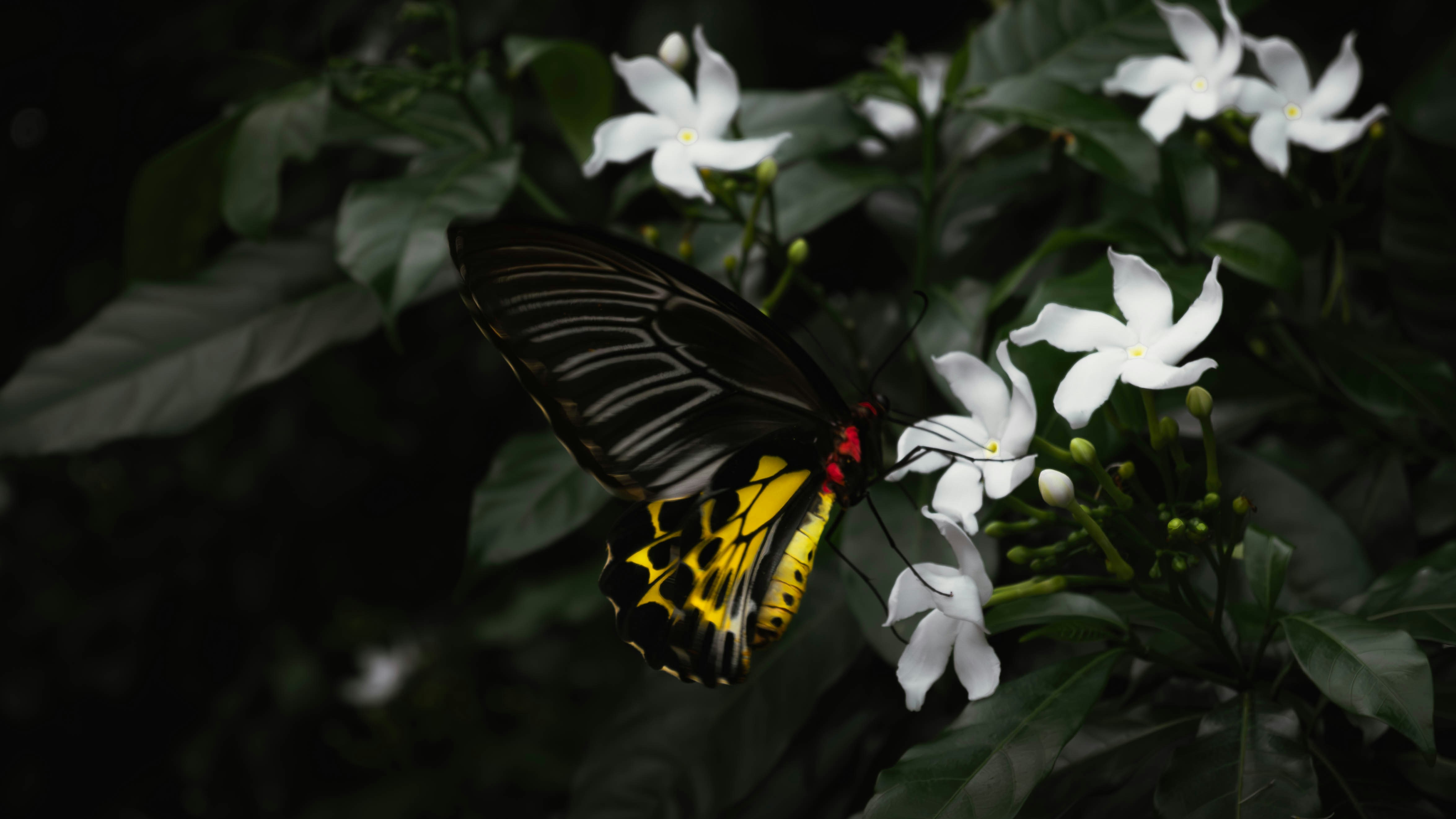 Photo by Sabharish P V with Nikon Z30