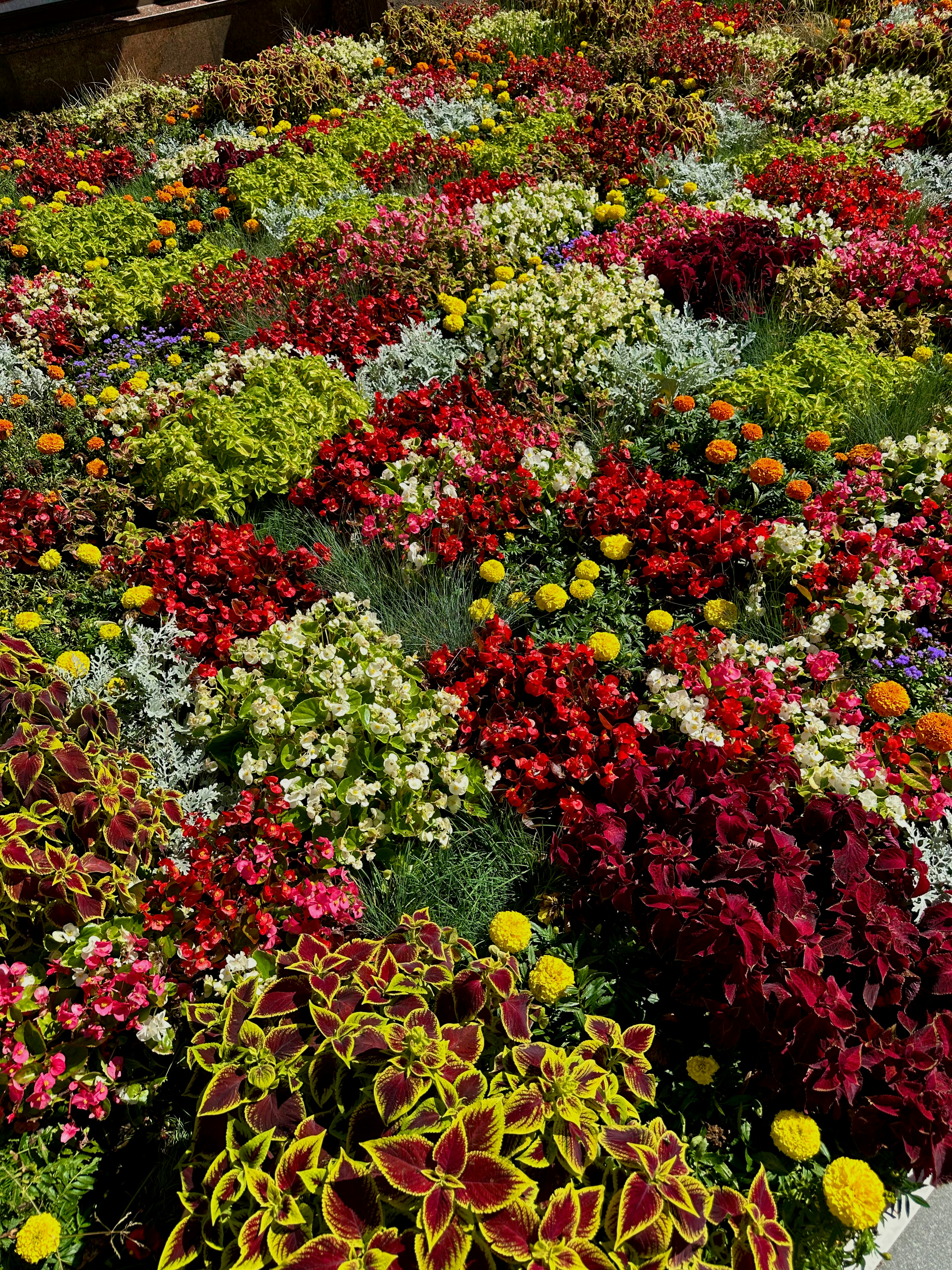 Crimson, Gold, and Lime: A Dense Flower Mosaic