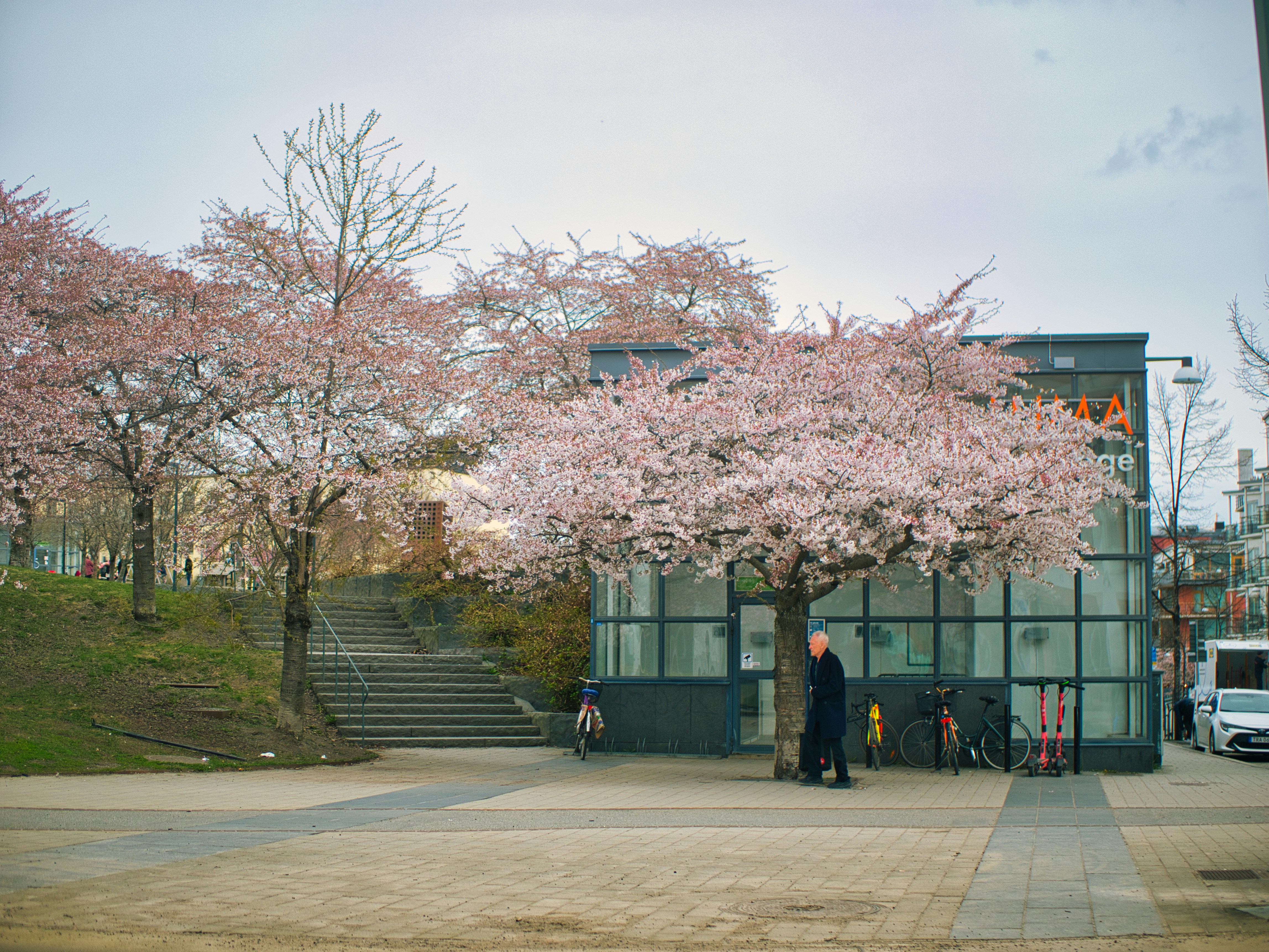 Photo by Tushar Mahajan with Panasonic Lumix G80