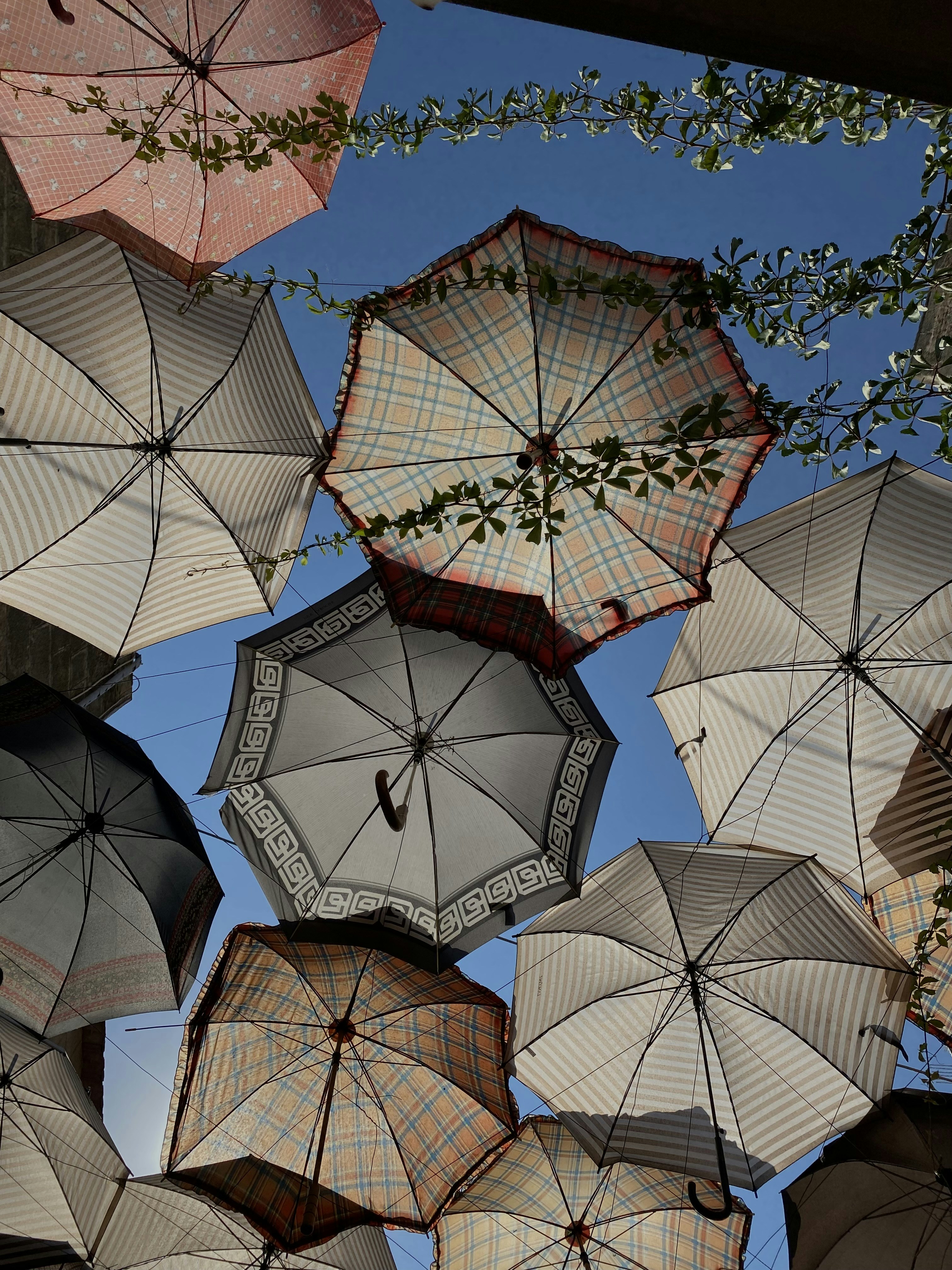 A bunch of umbrellas that are hanging in the air photo – Free ...