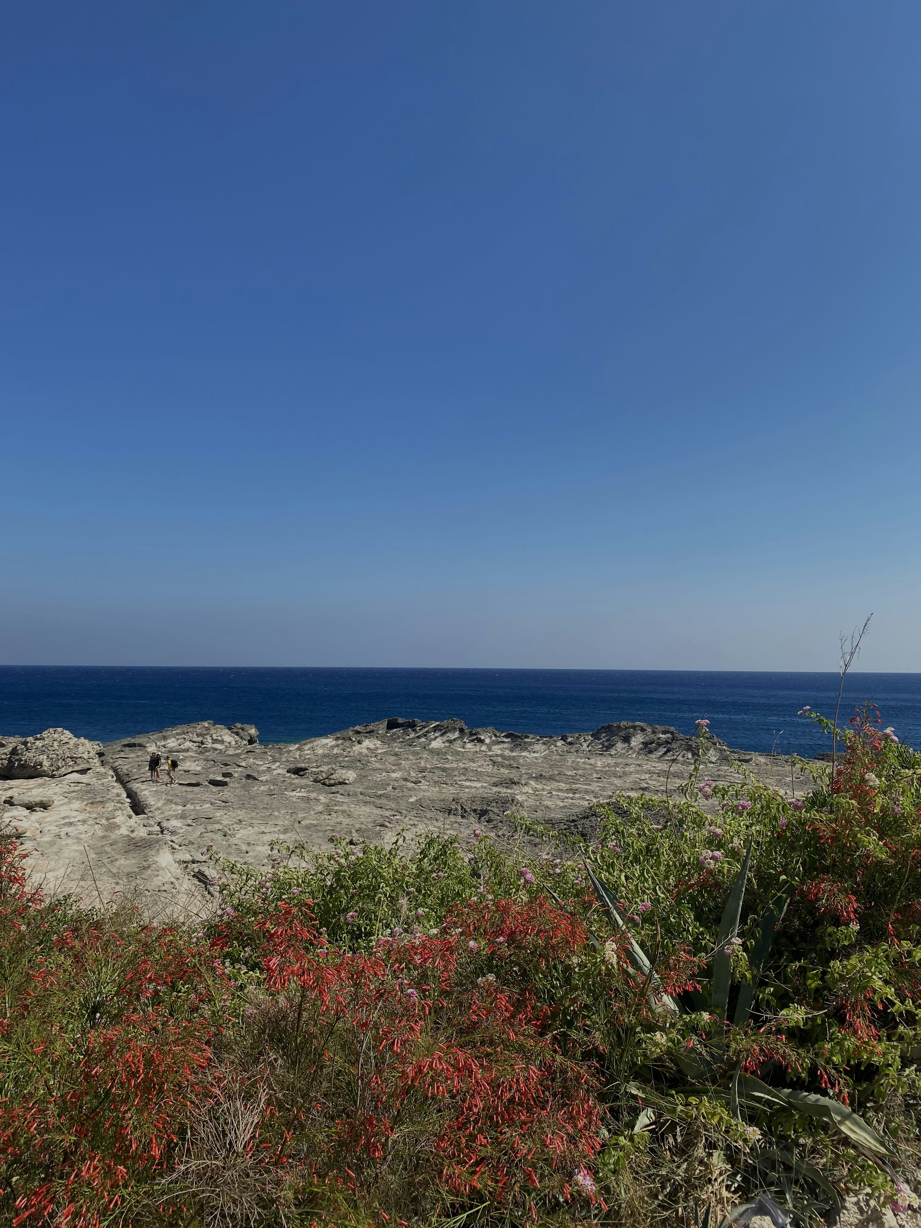 A view of the ocean from a rocky outcropping photo – Free Beach Image ...