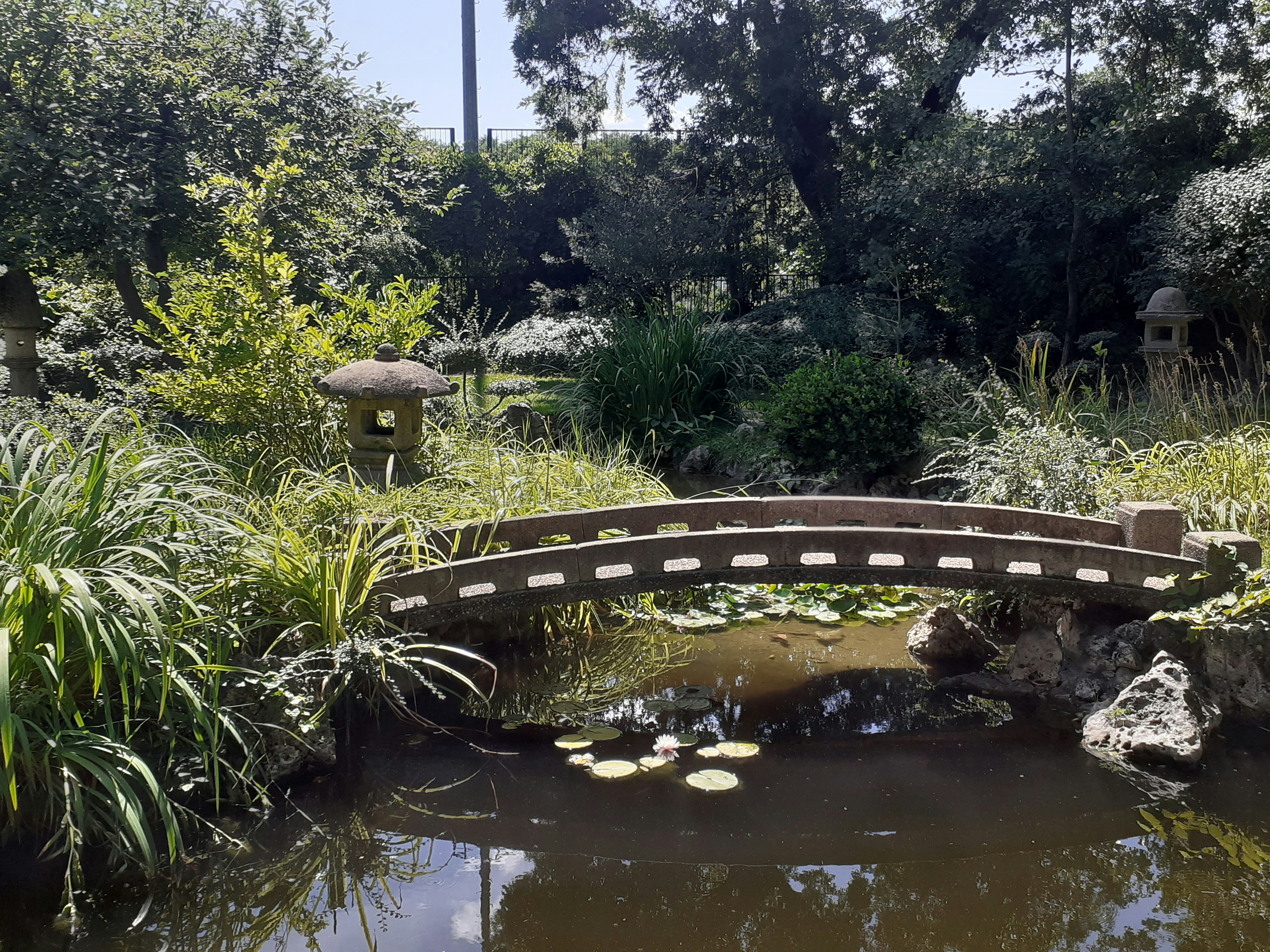 Photo by Zsófia Hajnal with Samsung Galaxy A20e