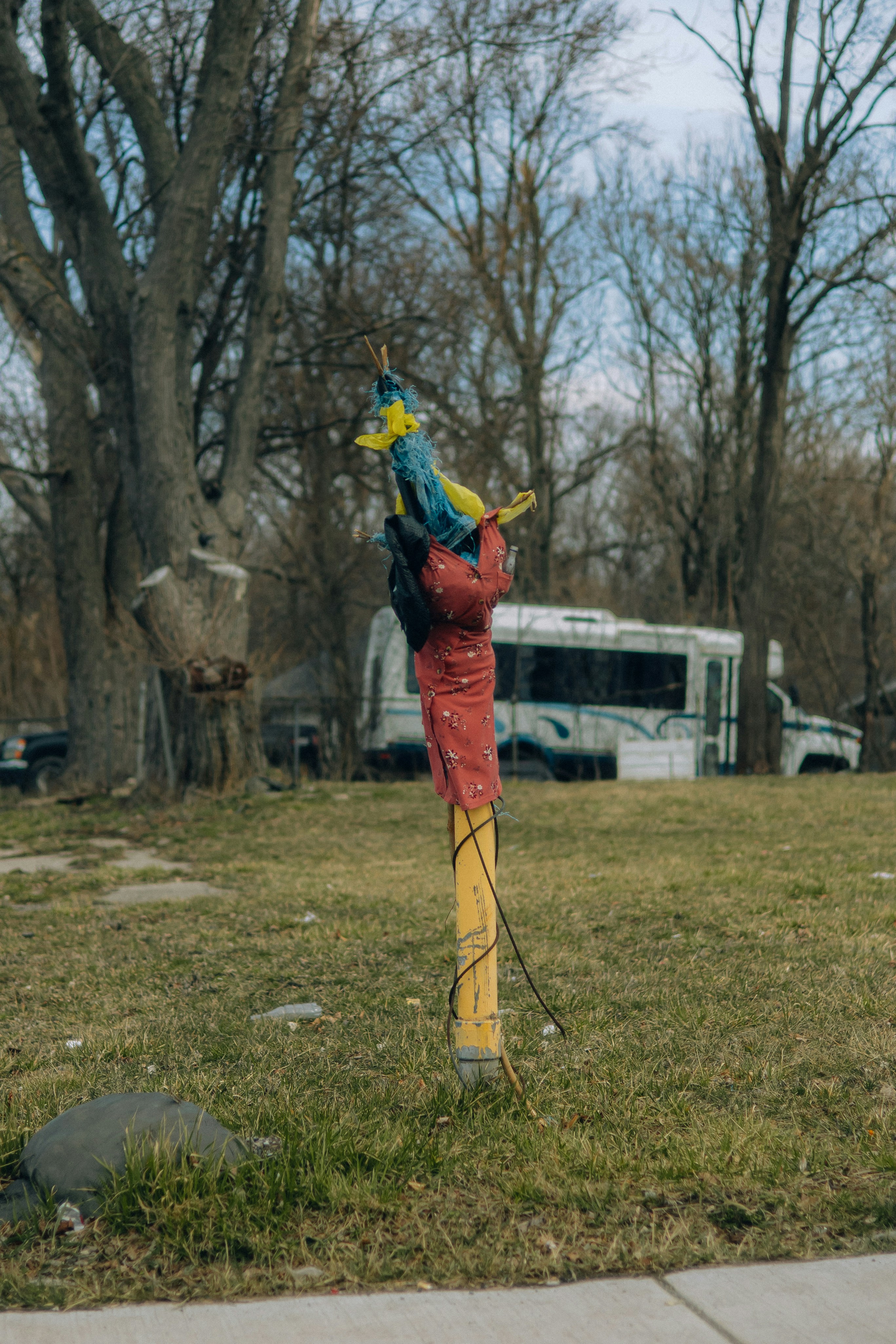 A fire hydrant in a field with a bus in the background photo – Free ...