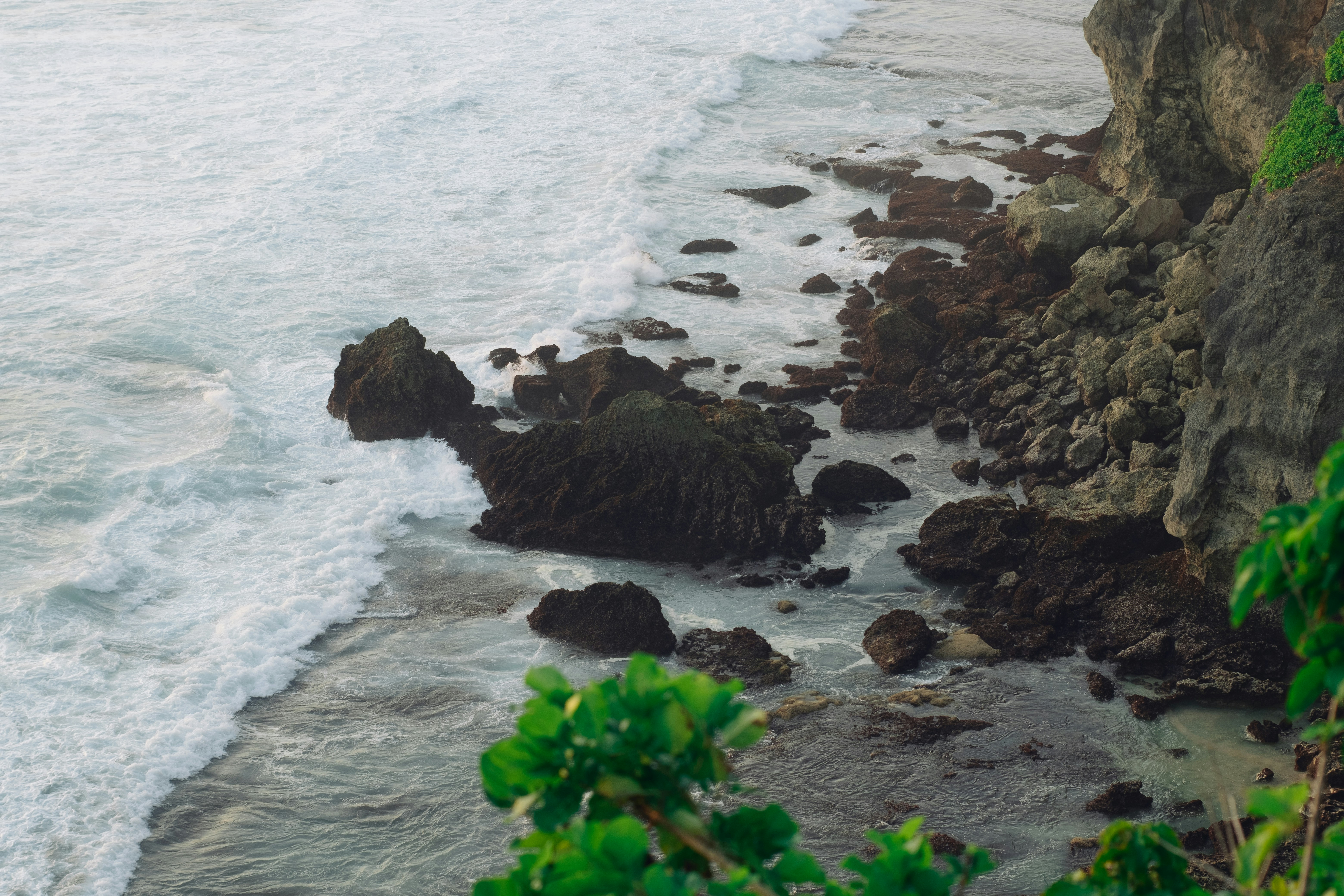 This captivating image captures the serene interaction between the rugged coastline and the gentle waves. The composition highlights the contrast between the dark, textured rocks and the soft, foamy white water, creating a harmonious balance. The lush green foliage in the foreground adds a vibrant touch, while the soft lighting evokes a peaceful and calming atmosphere.