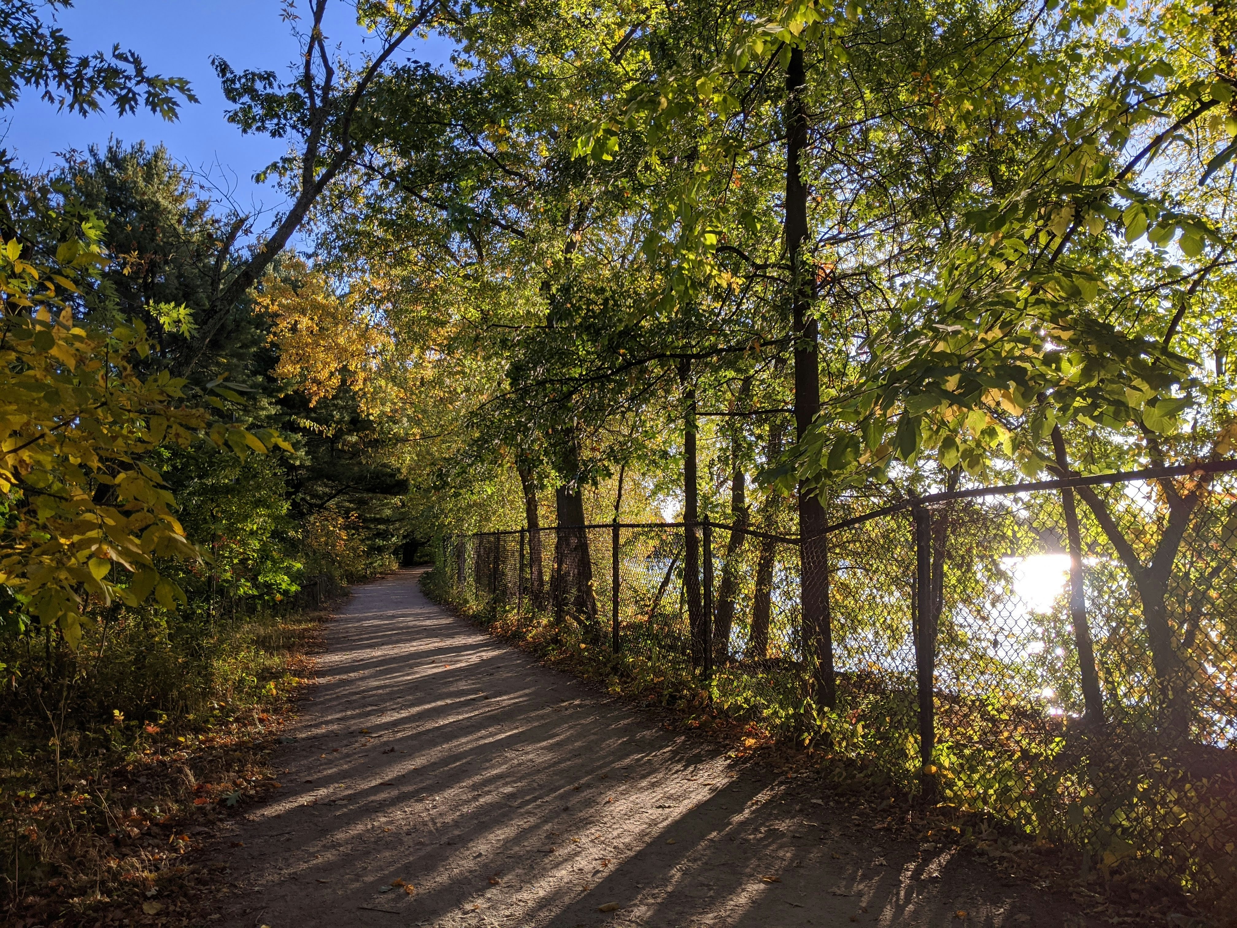 Winding Path by Sunlit Water: Autumn Light Through a Chain-Link Fence